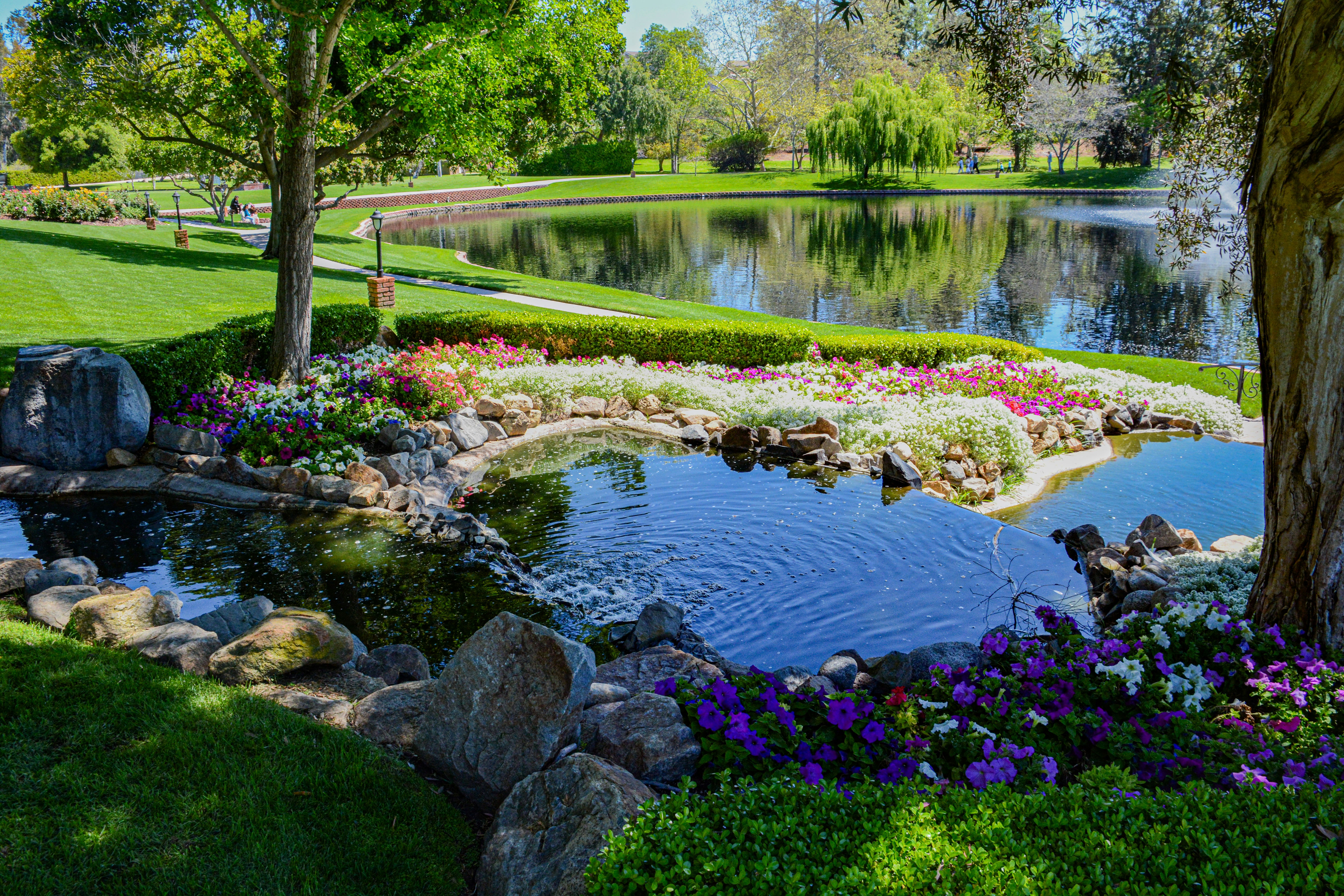 Serene park pond with cascading stone waterfall and vibrant flowers
