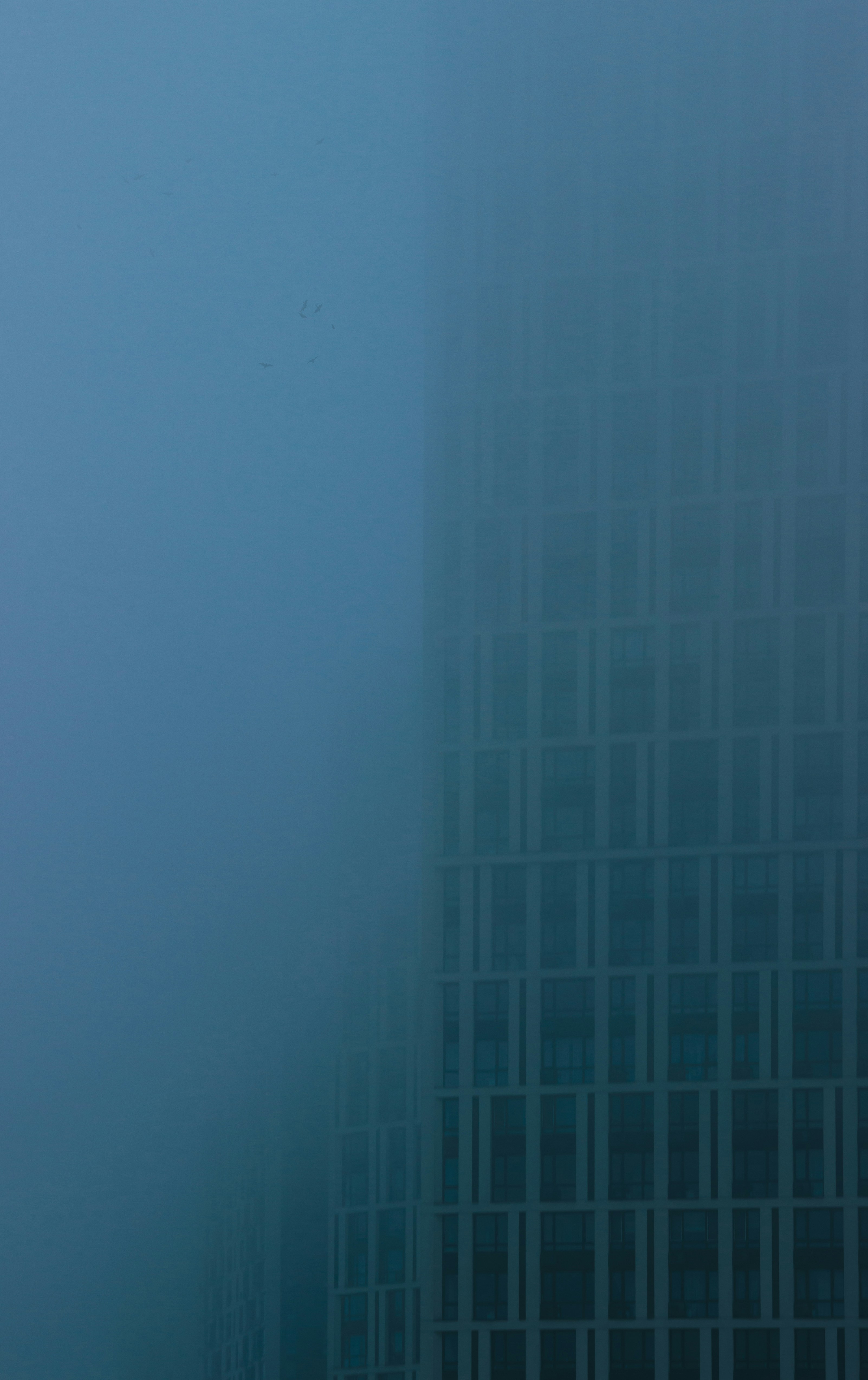 Foggy Glass Facade: A Blue-Tinted City Skyline Softly Revealed