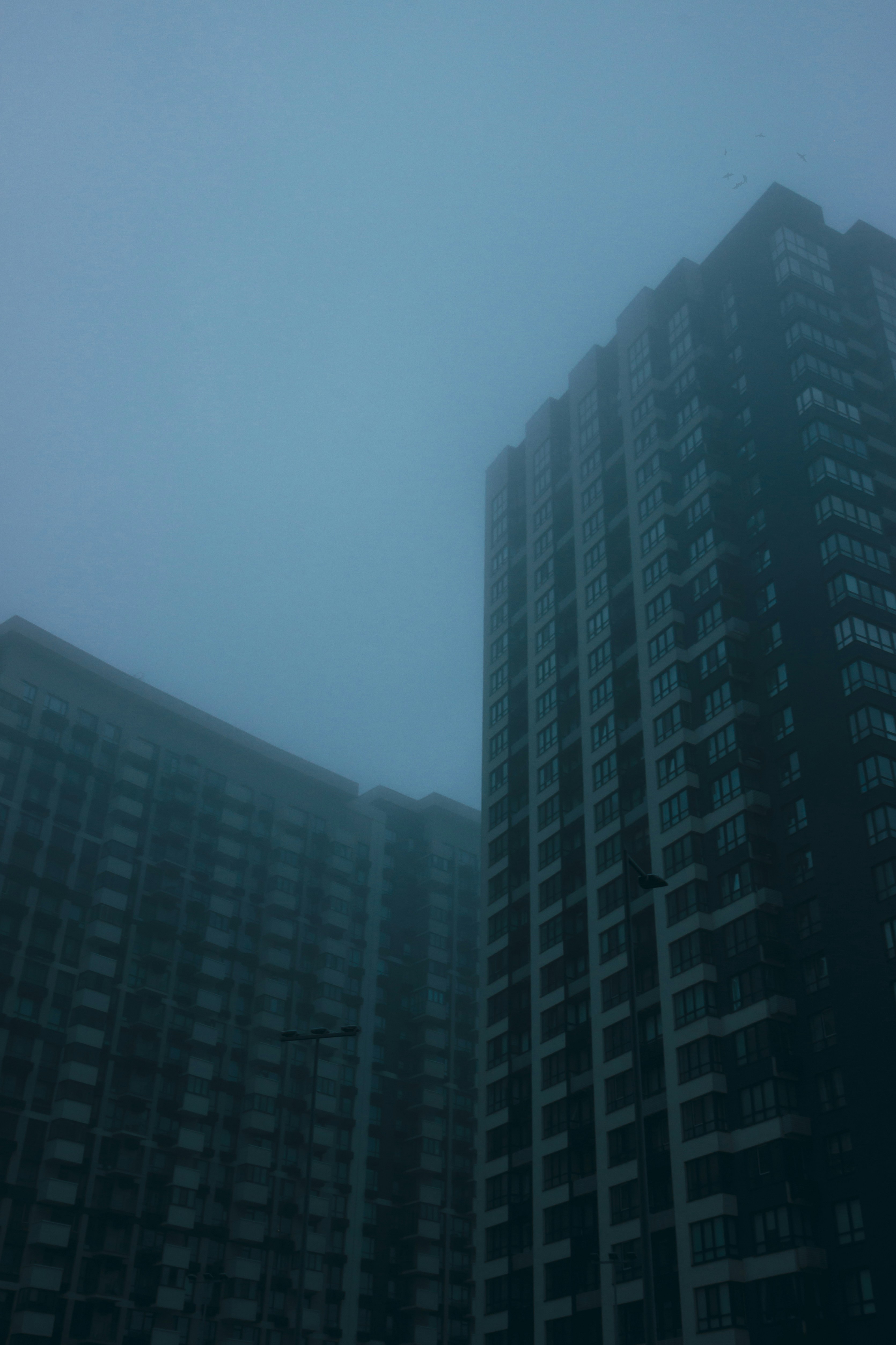 Low-Cloud Dawn: A Pair of Towering Facades Reaching into Mist
