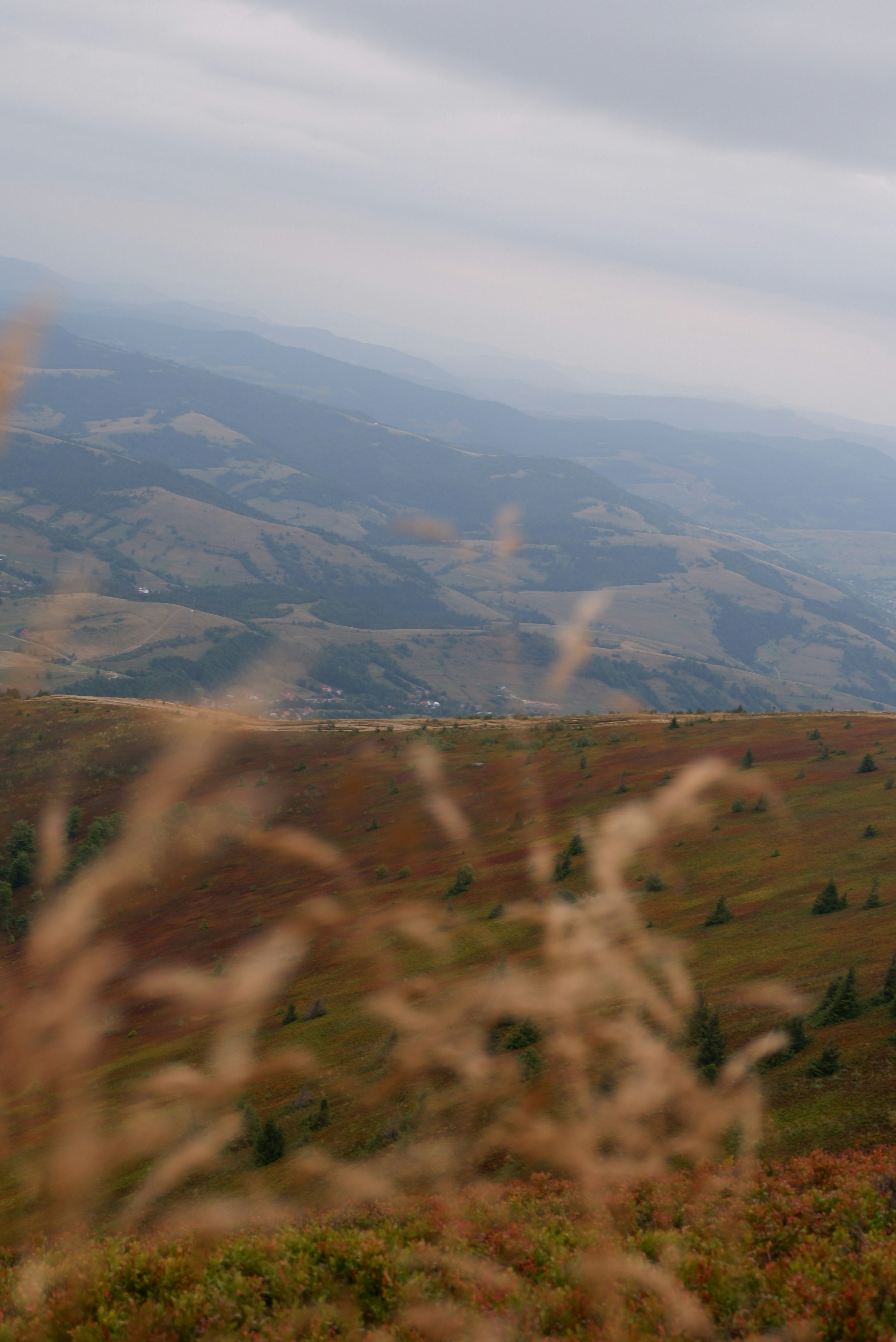 Rolling Hillscape: Mist over Valleys from a Highland Ridge