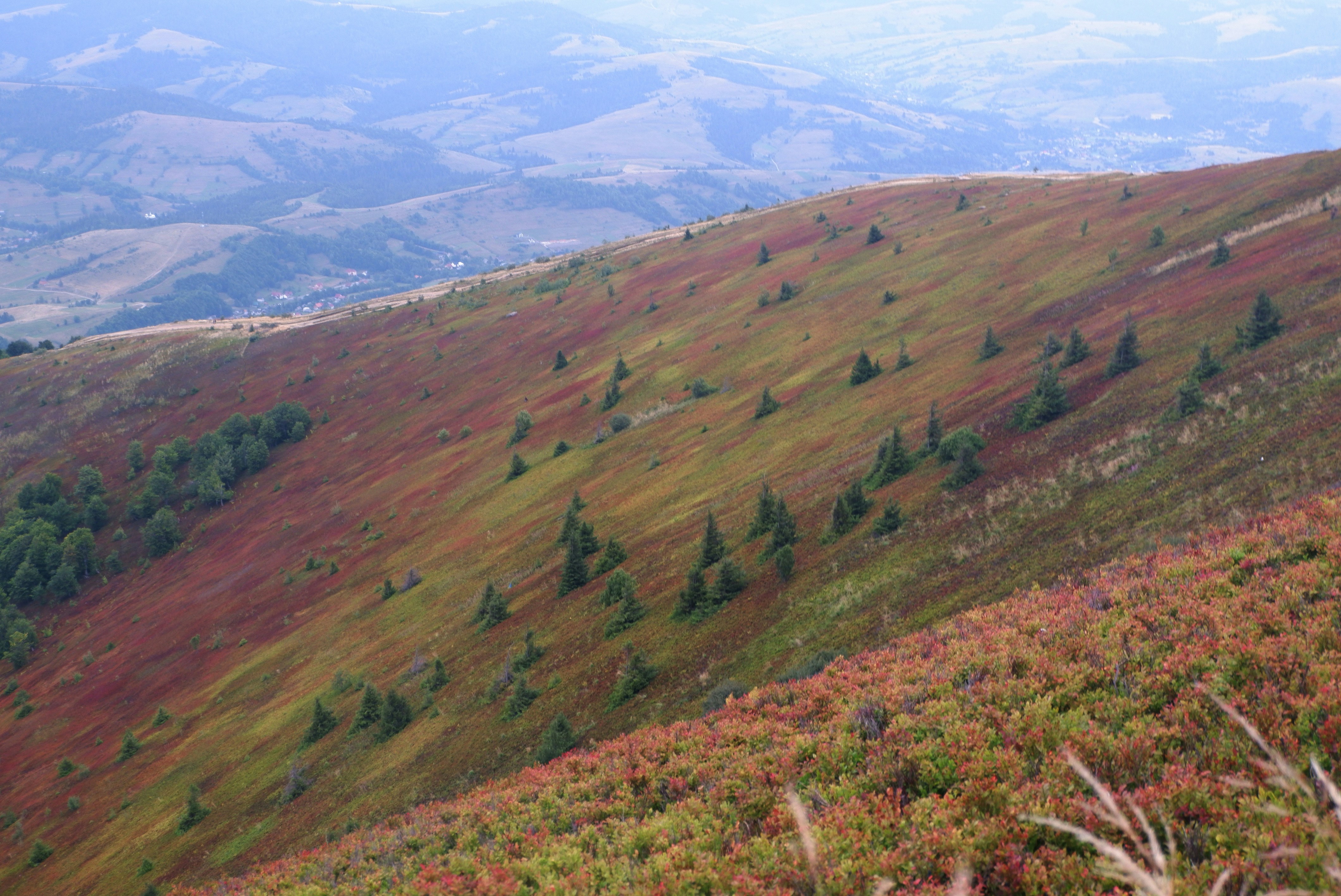 Rolling hillside covered in autumnal heathers and scattered pines stretches into the distance, with a soft atmospheric haze over distant valleys.