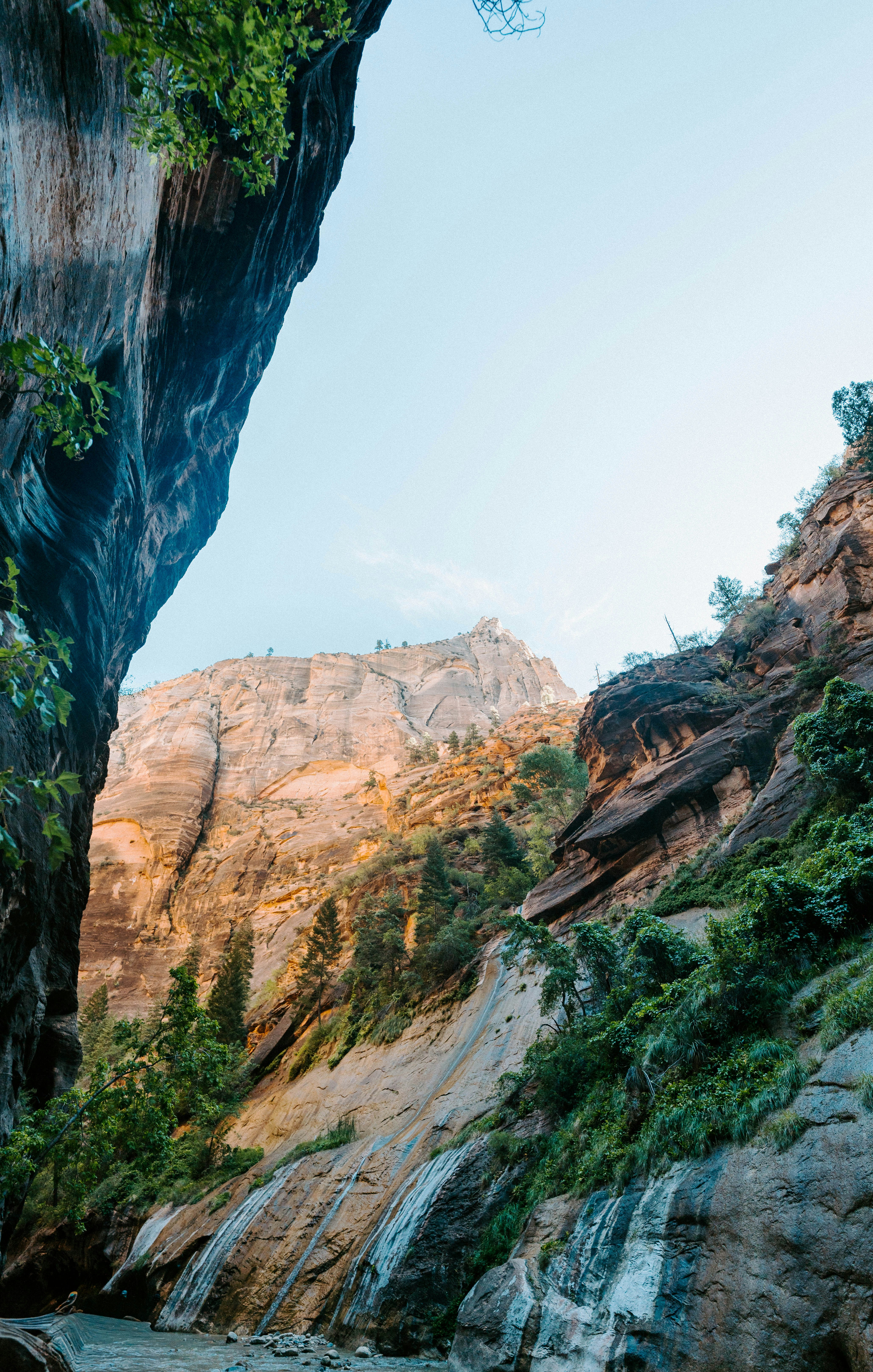 Canyon Cathedral: Sunlit Cliff Faces Between Shaded Walls
