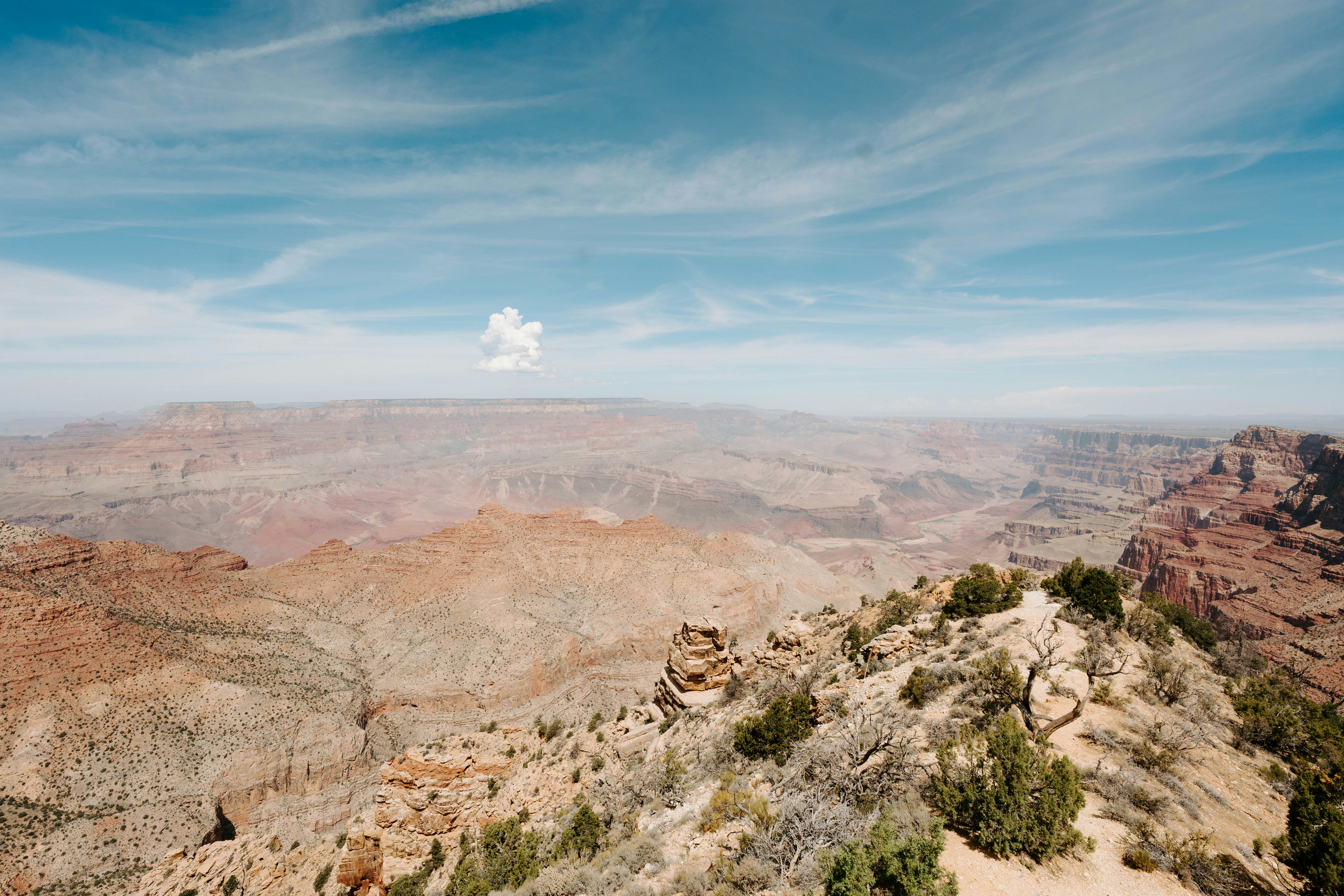 Edge of the Canyon: A Quiet Vantage Over the Painted Earth