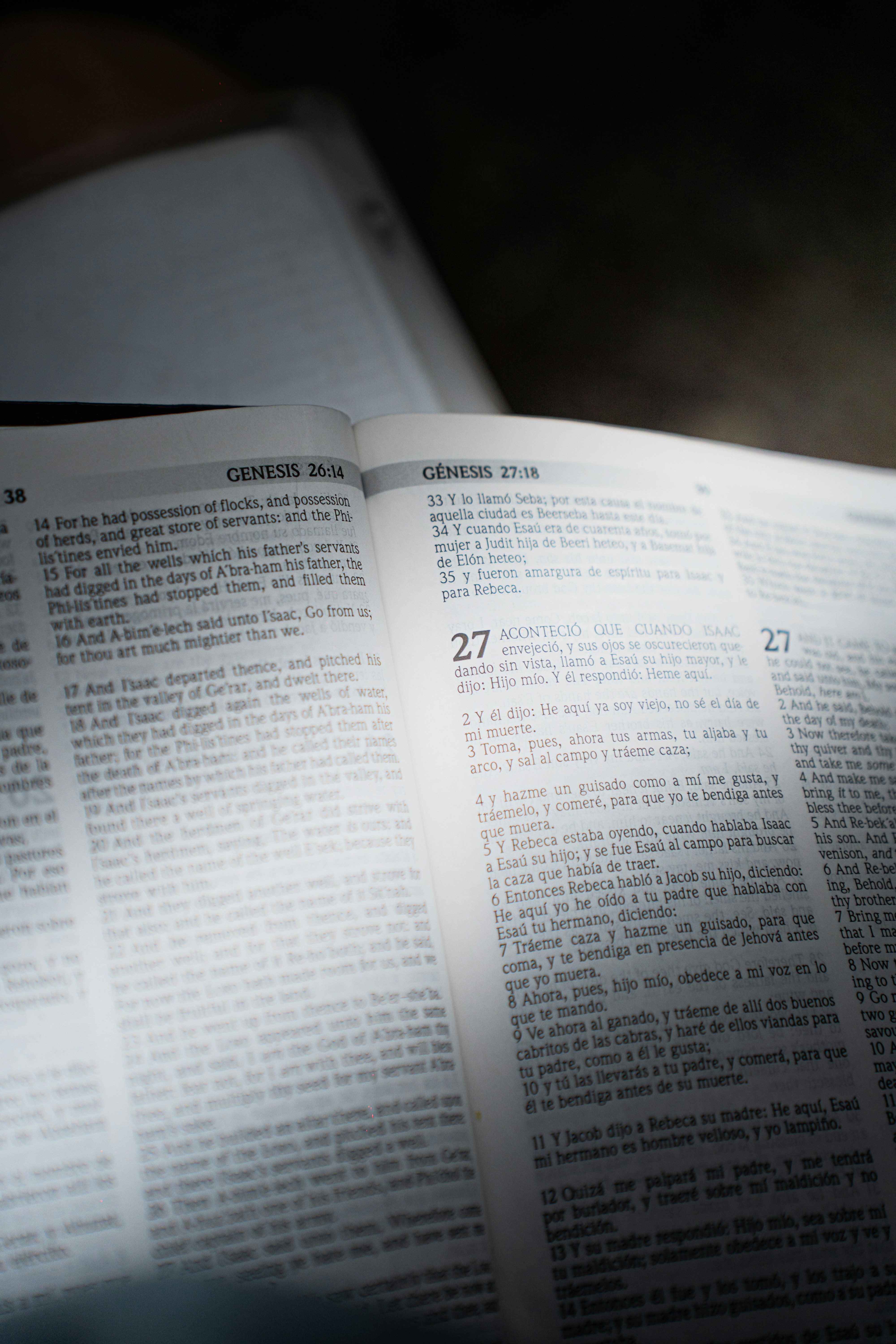 Open Bible Pages Under Soft Reading Light