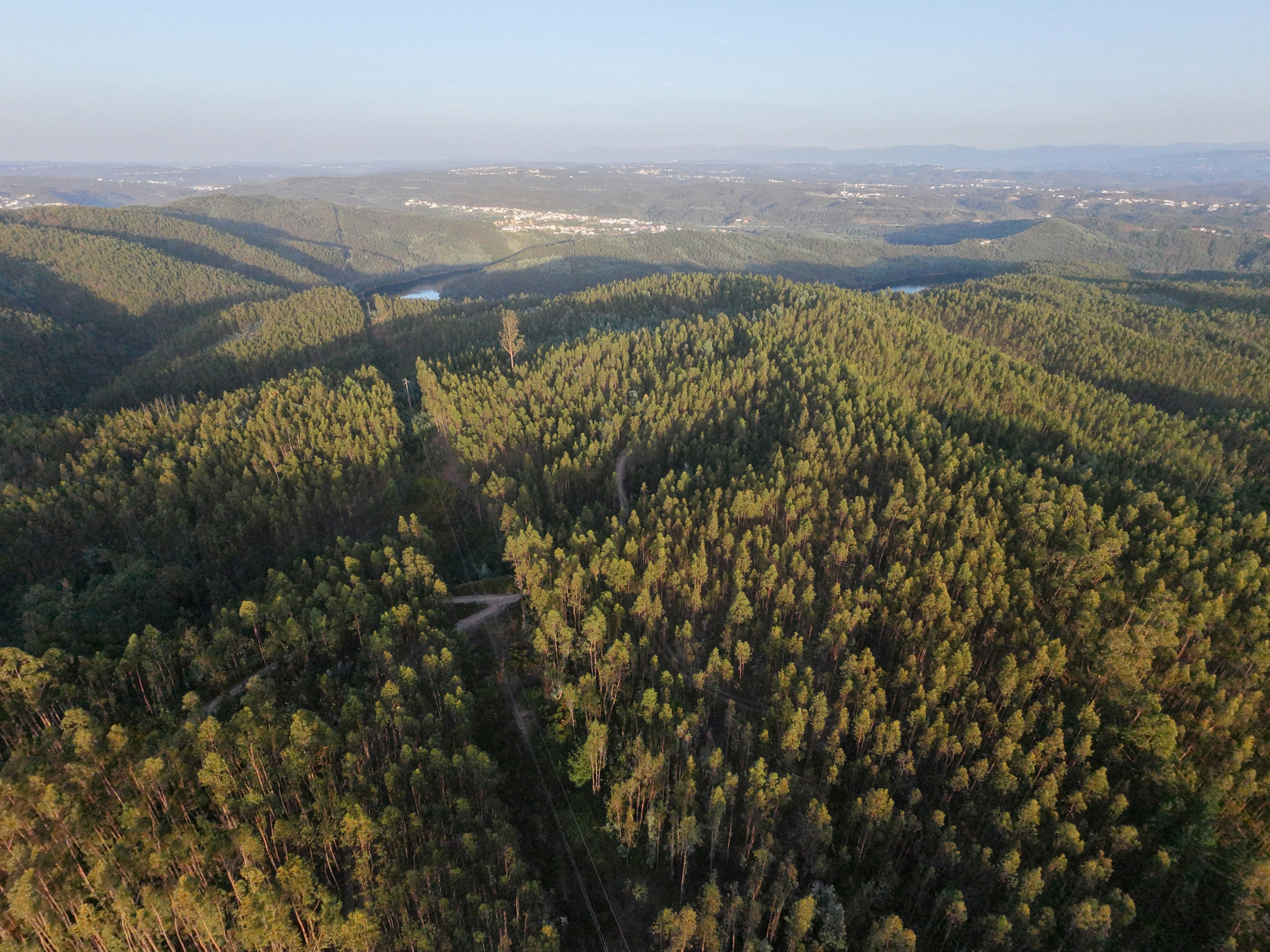 Aerial view of forested hills with dirt tracks, small areas of water, and distant buildings.
