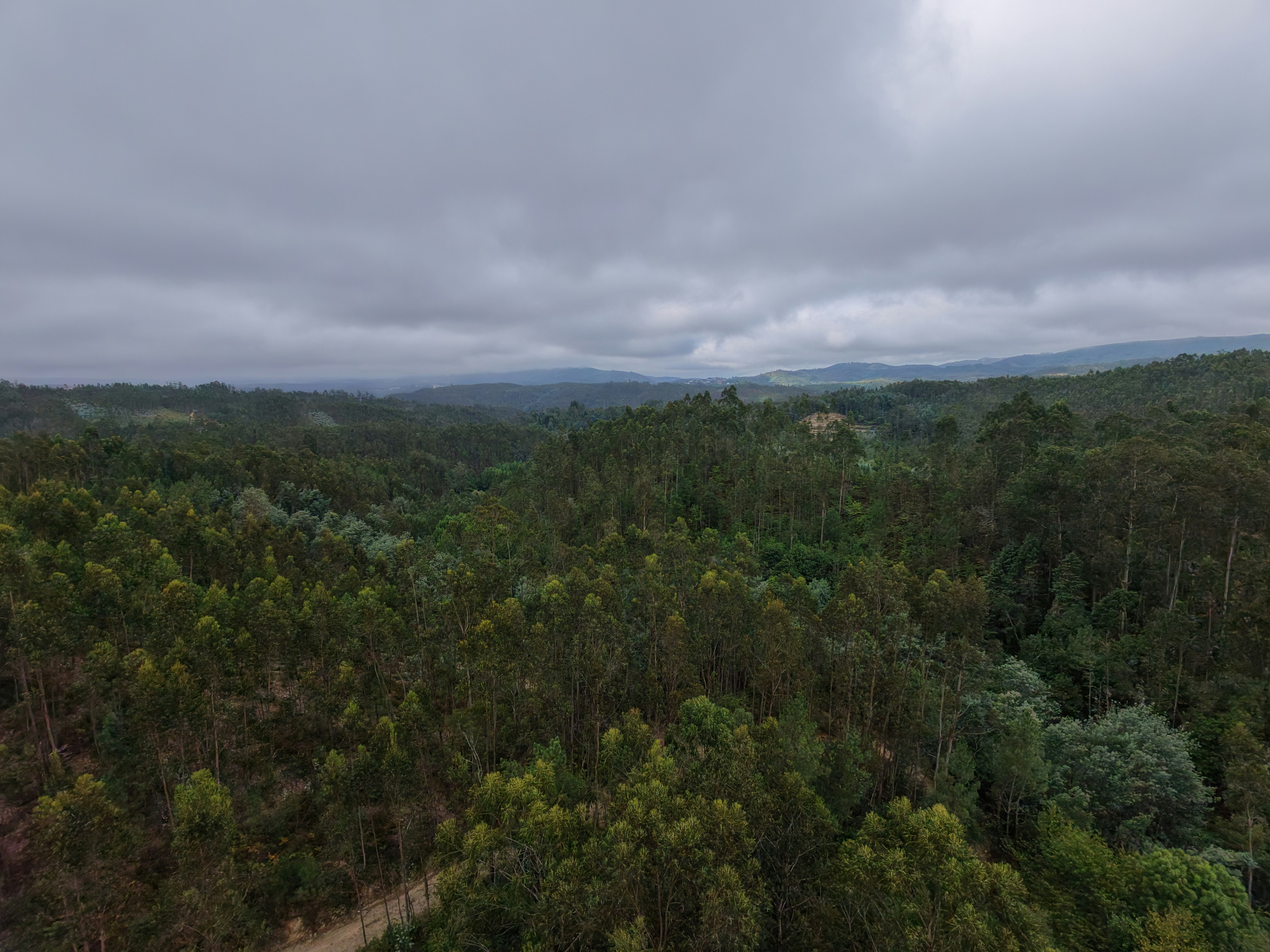 Aerial view of forested hills beneath an overcast sky, with a dirt track visible among the trees.