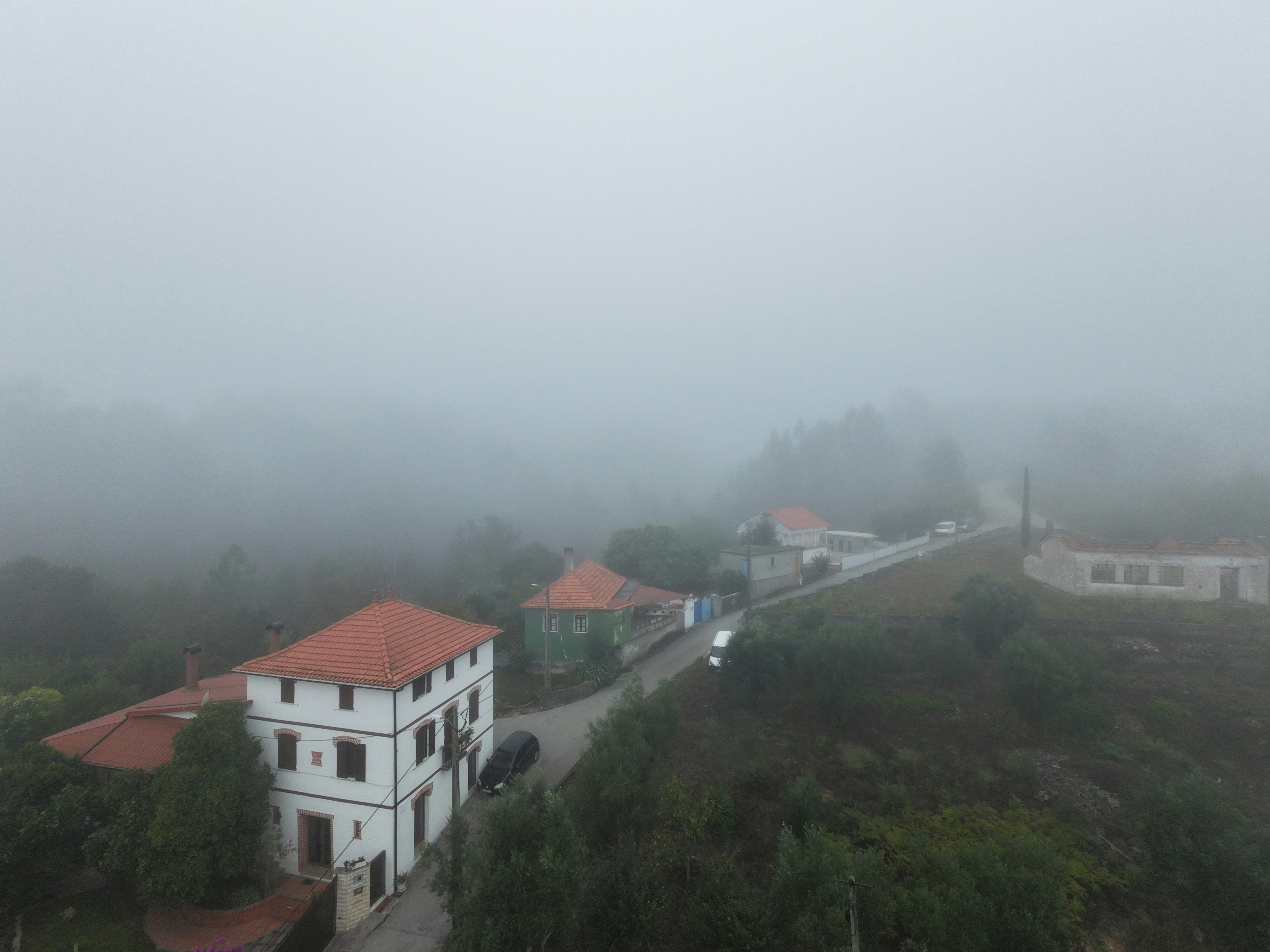 Houses with red tiled roofs line a narrow road amid trees and vegetation in dense fog.