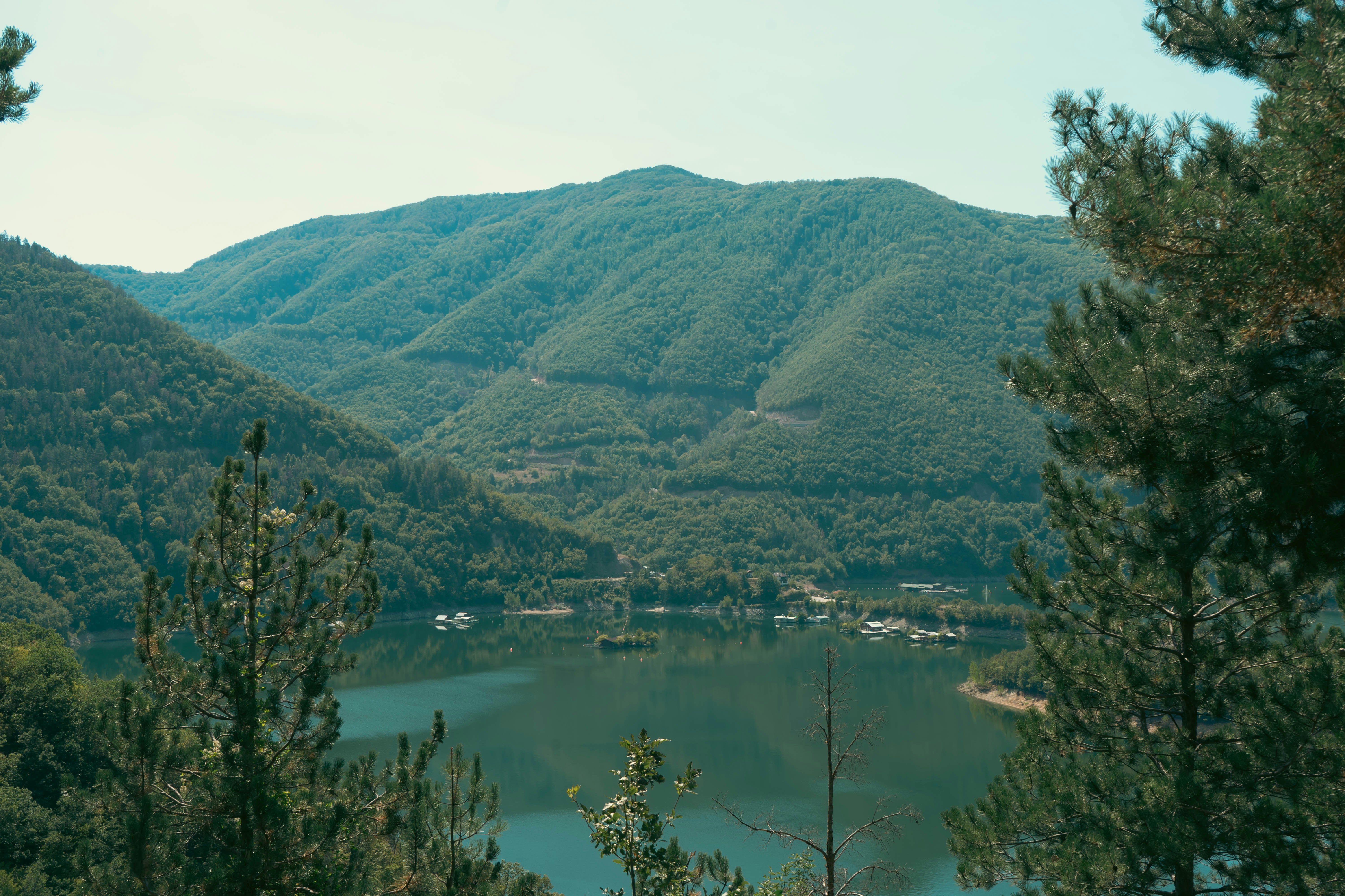 Lakeside Ridge: A Serene Mountain Cut Between Pines