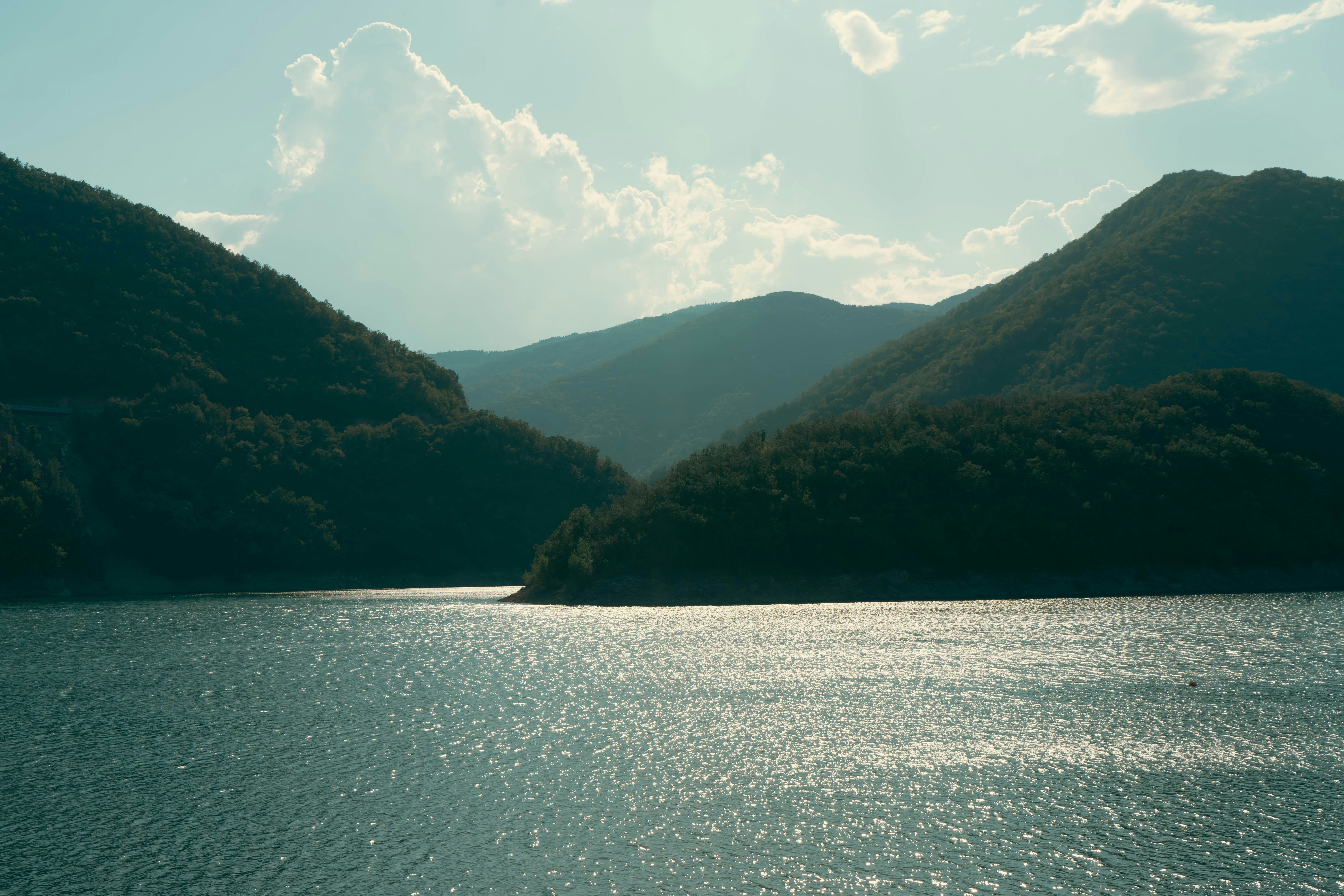 Sunlit Coves: A Serene Lake Between Rolling Green Ridges