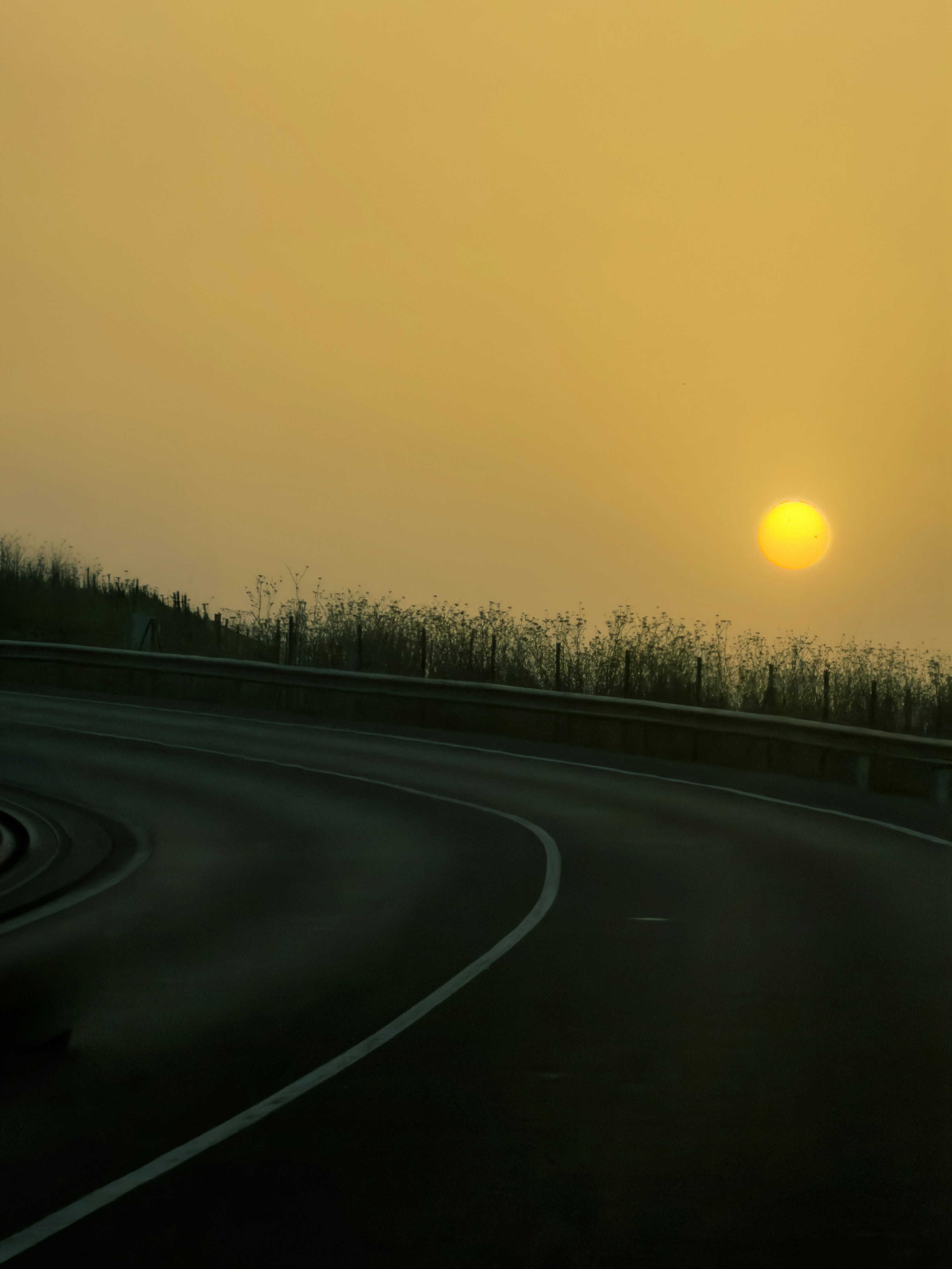 Golden Road at Dusk: A Quiet Descent into the Horizon