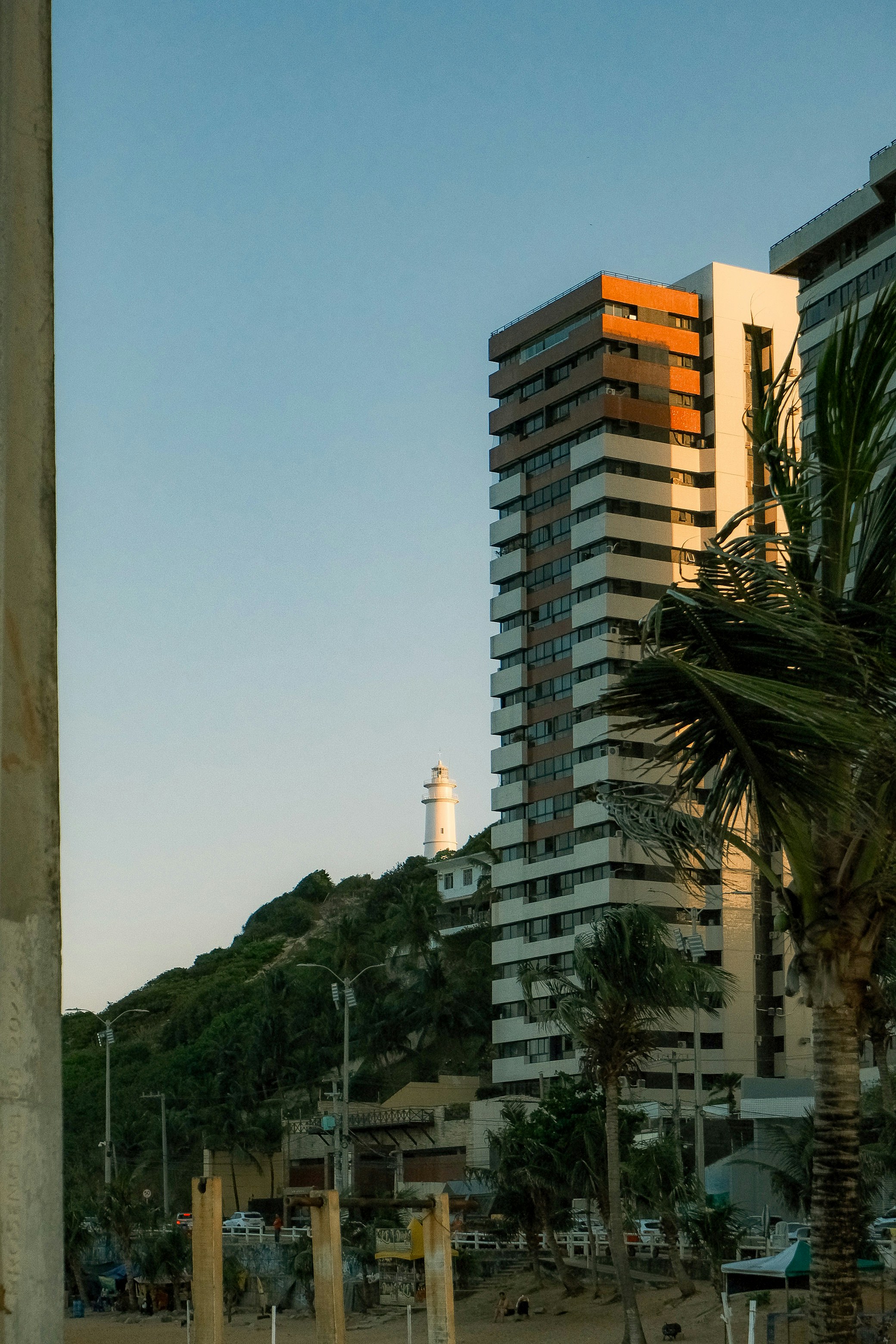 Harbor Mirage: A Sunset Portrait of Towers and Palm