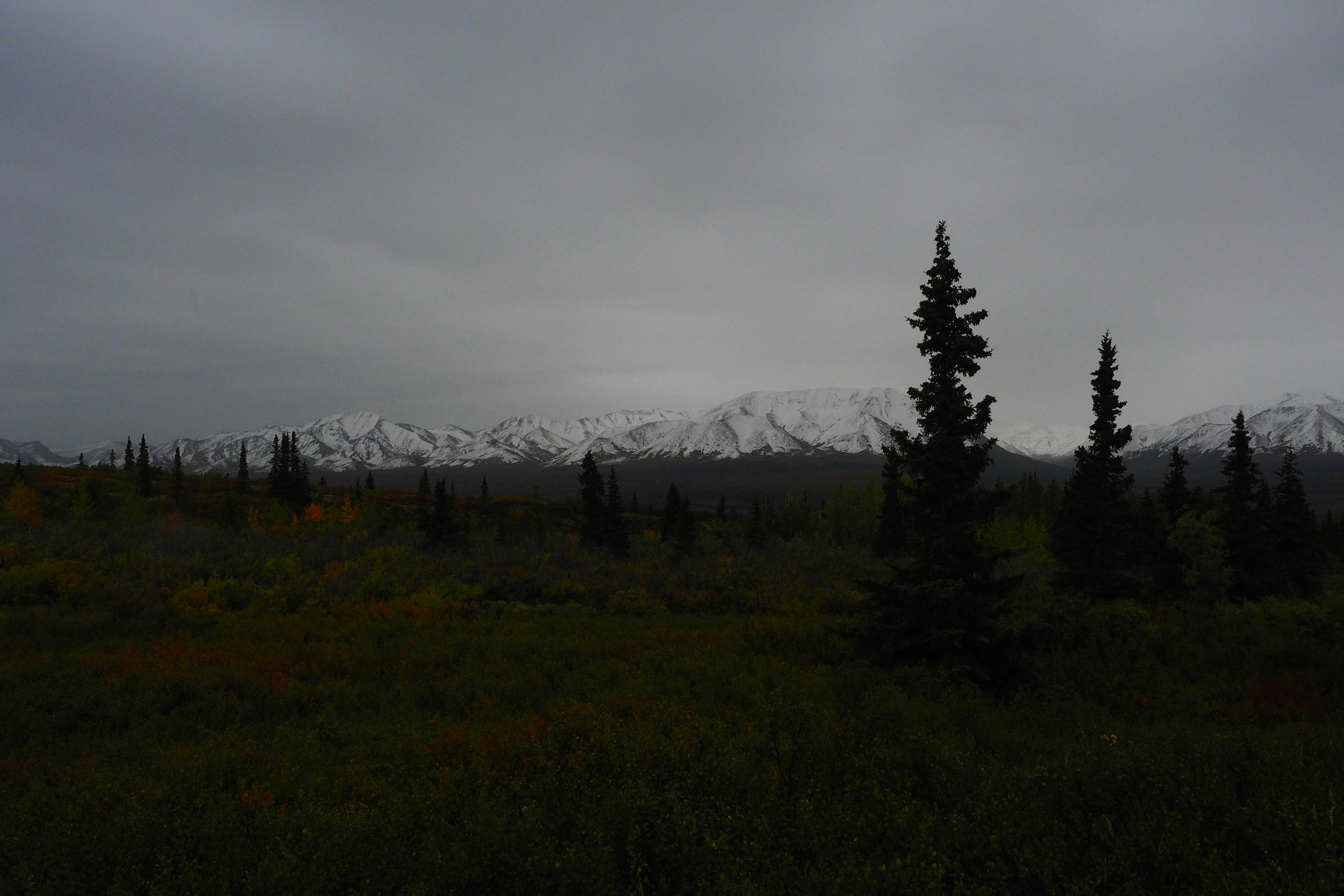 Snow-kissed Ridge Beyond a Quiet Tundra
