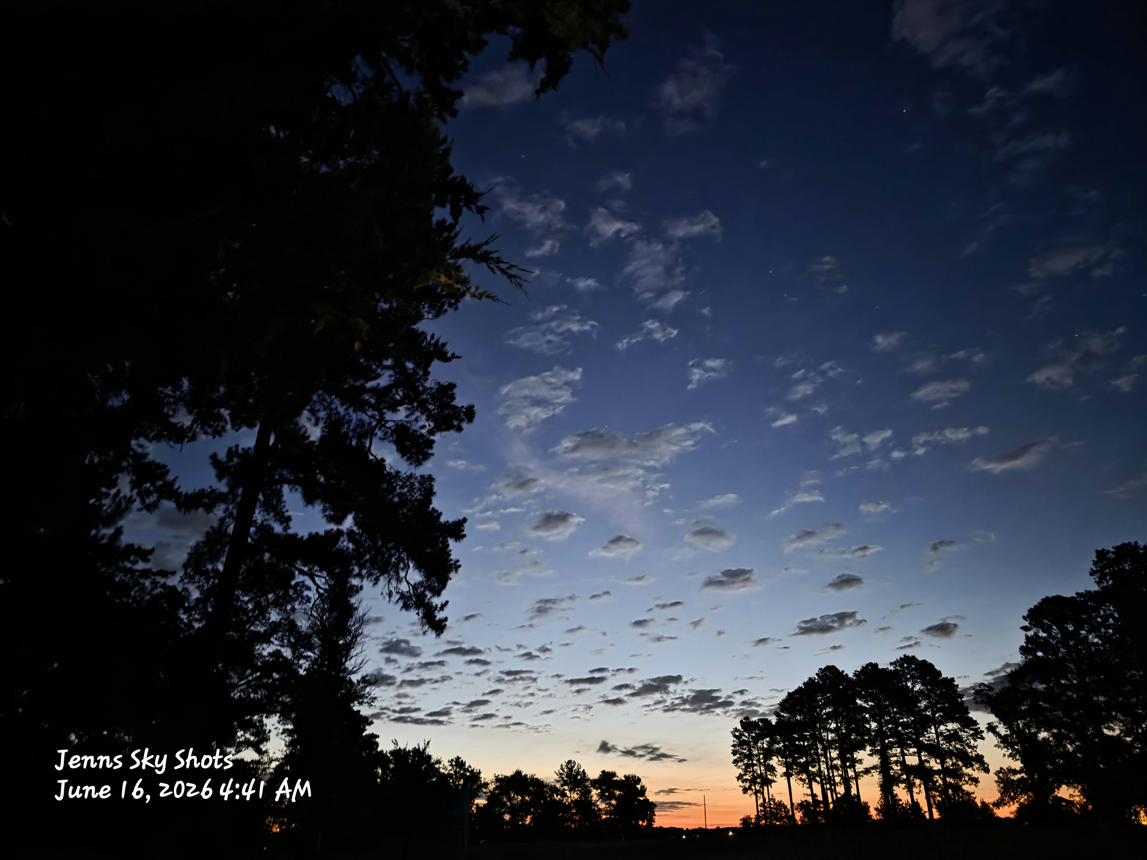 Sunset Silhouette: Trees Framing a Quiet Horizon