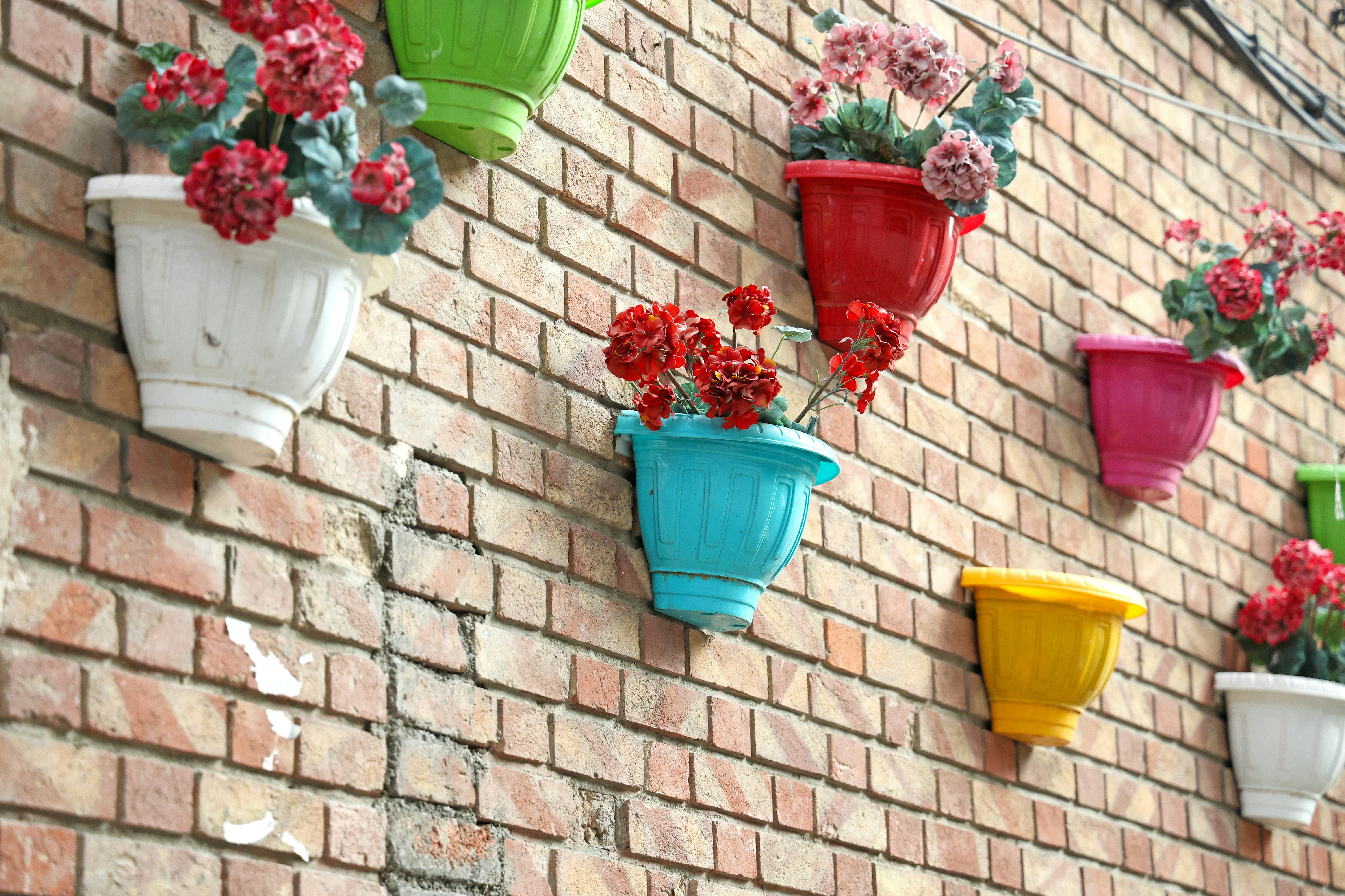 Colorful Planters on a Brick Wall