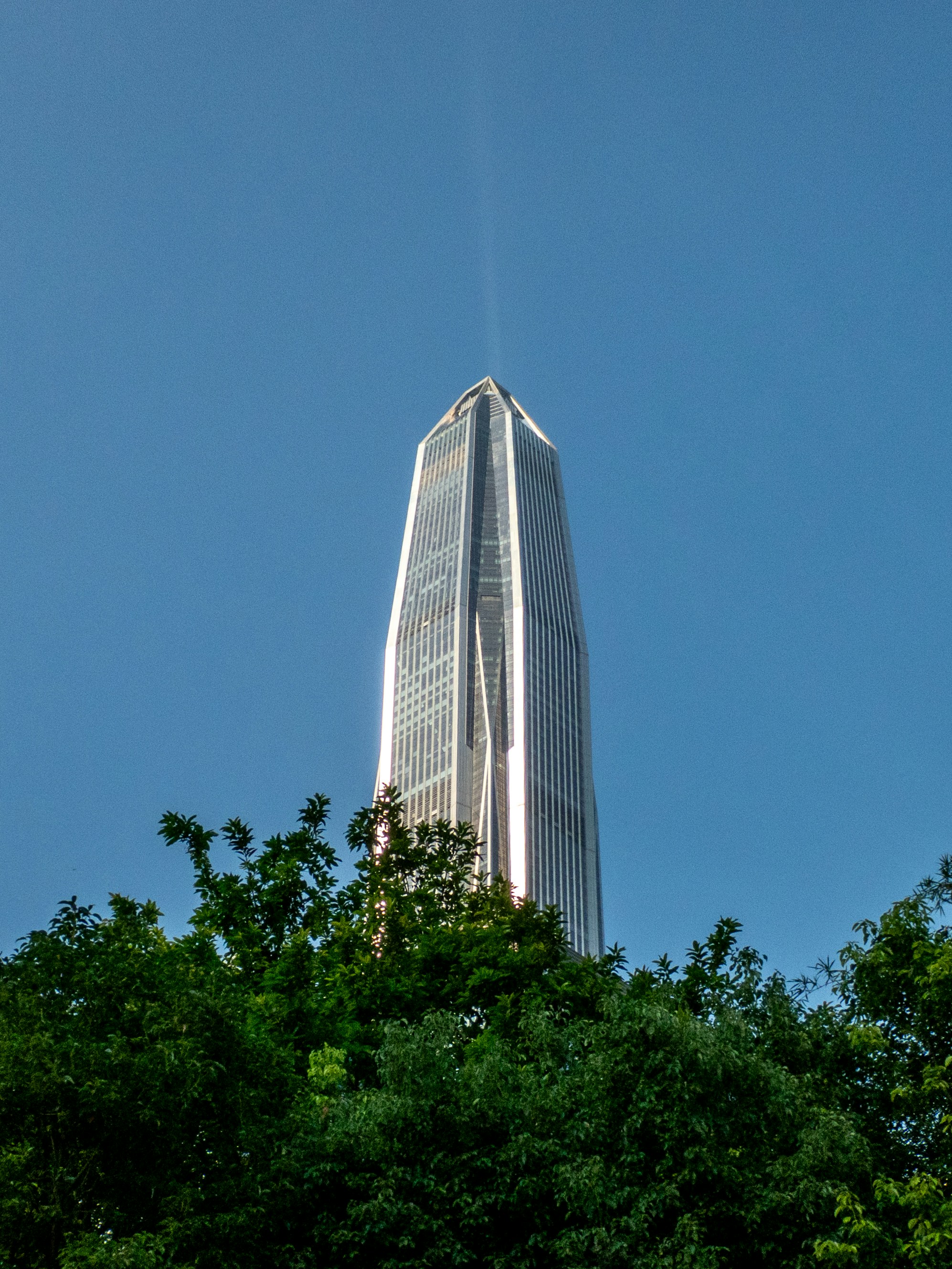 Skyward Spire Rising Through Green Canopy