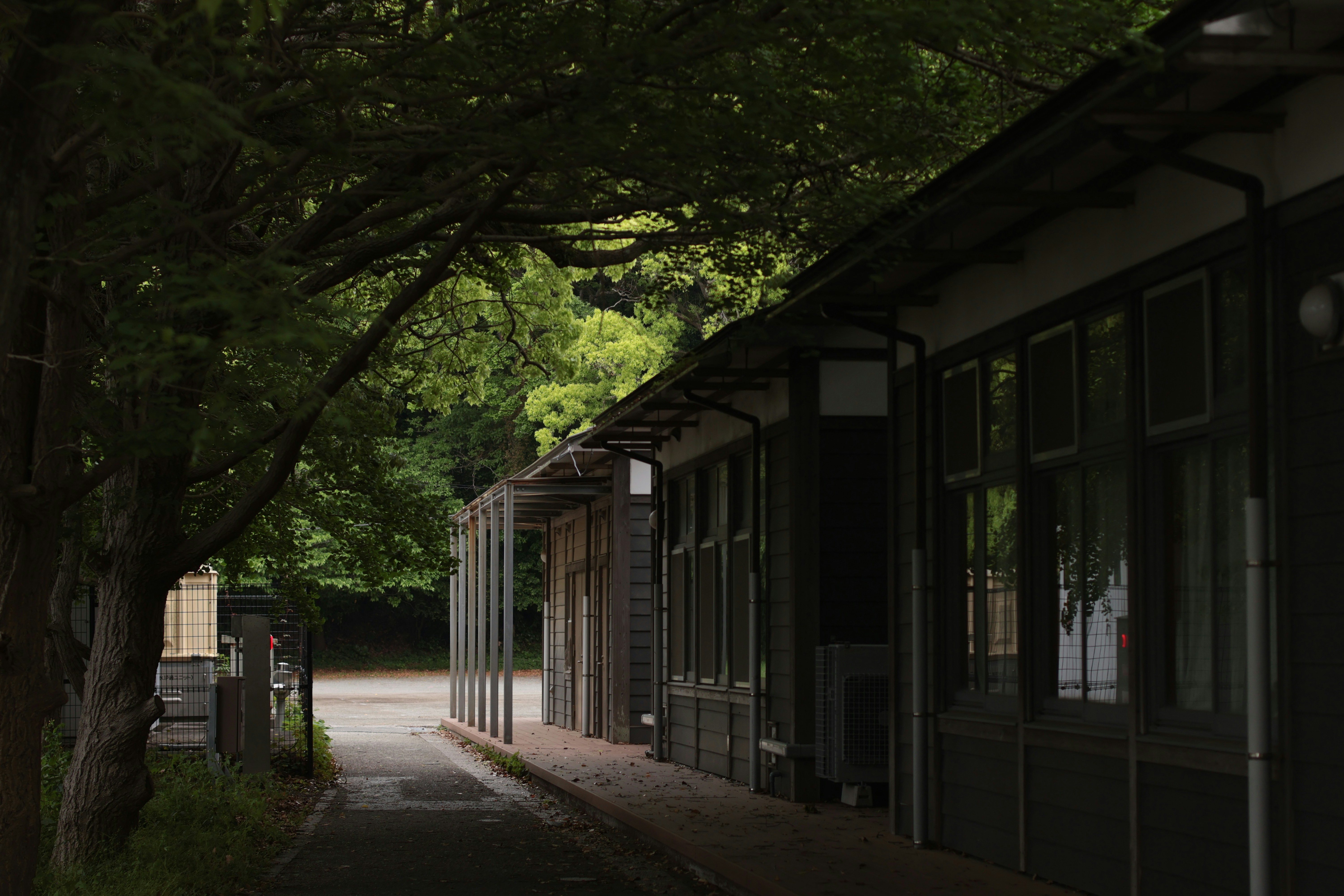 Quiet Corridor: Soft Light Between Shadowed Walls
