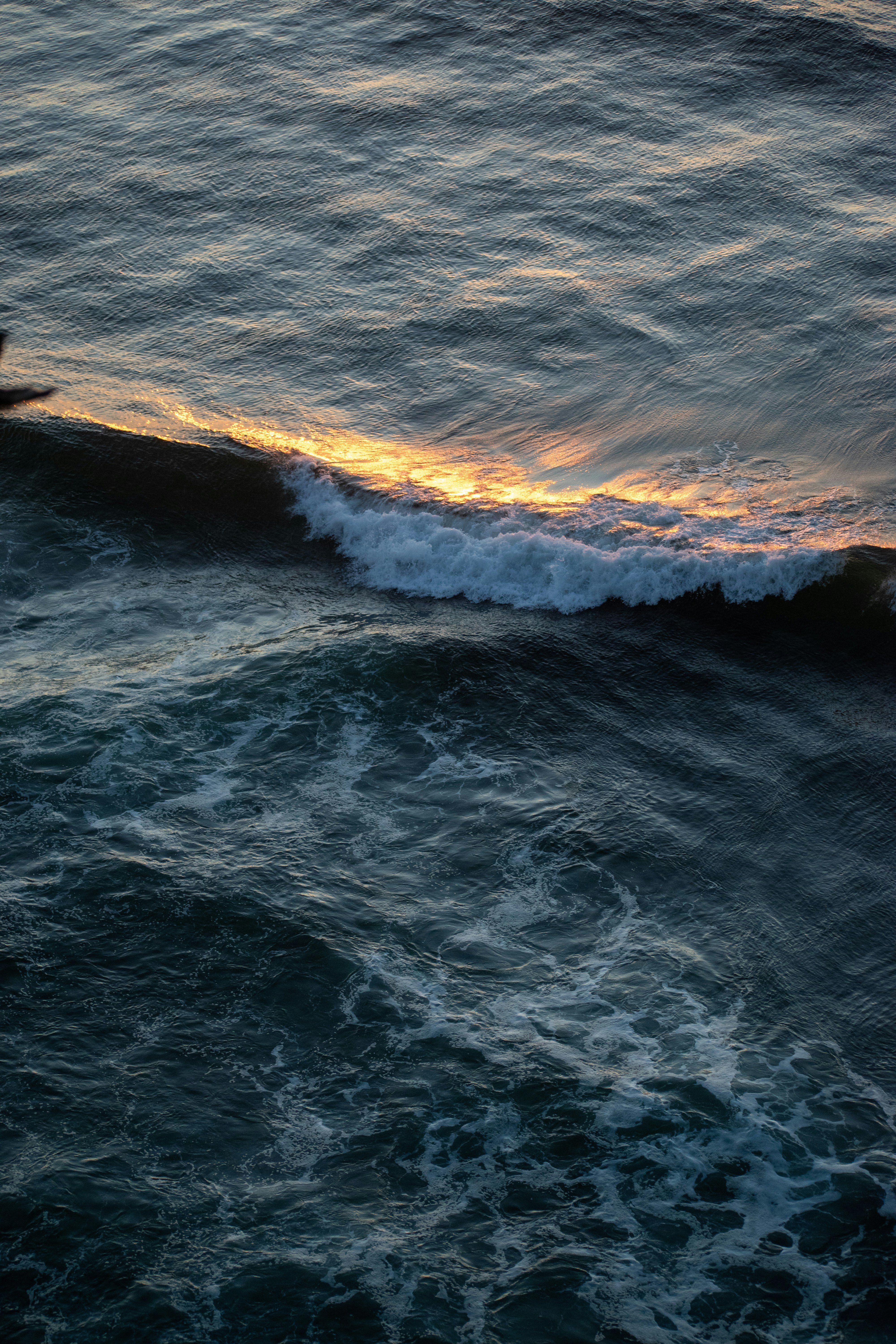 Sunlit Crest over a Midnight Sea