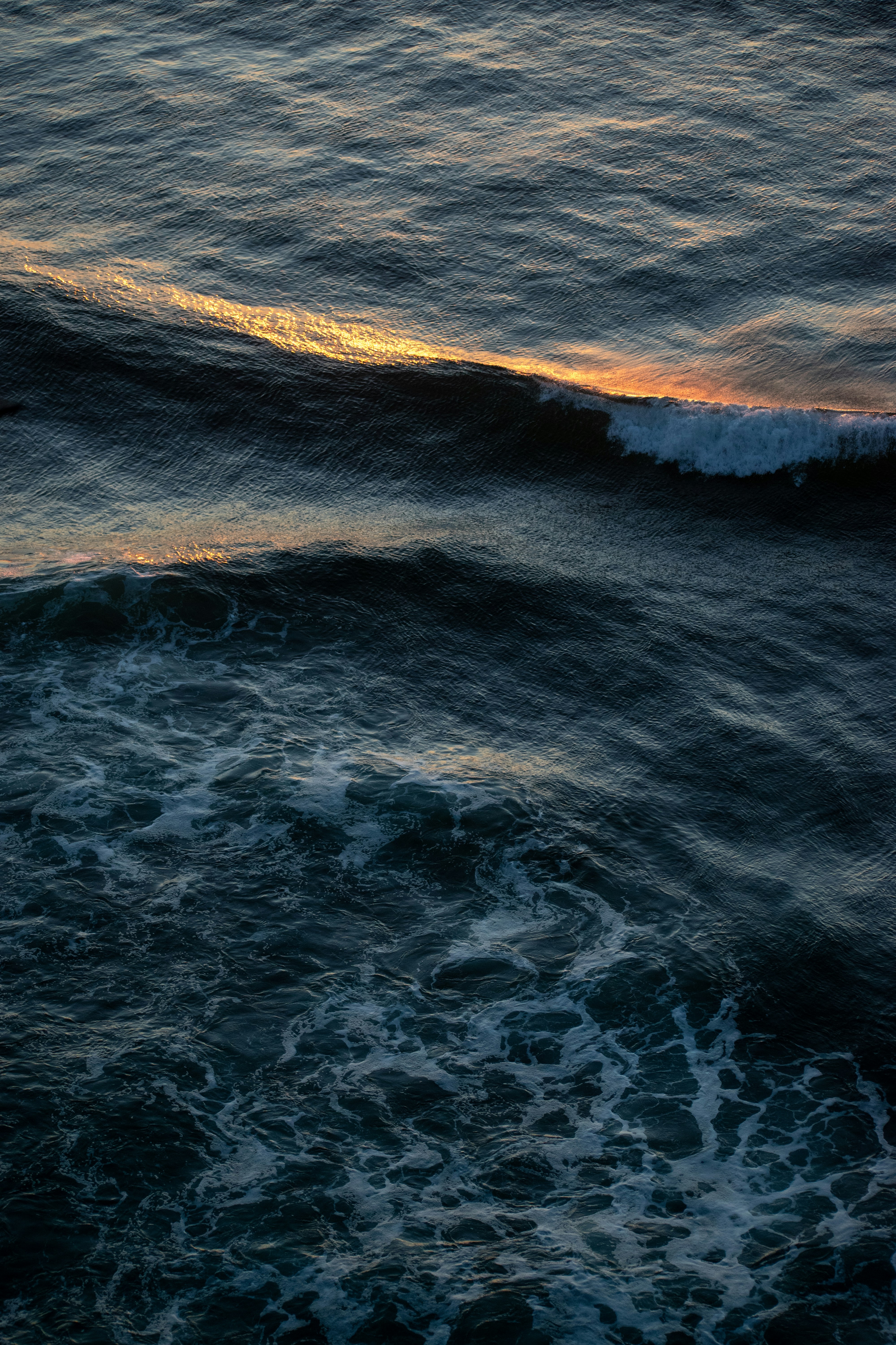 Golden Crest on a Quiet Ocean Ridge