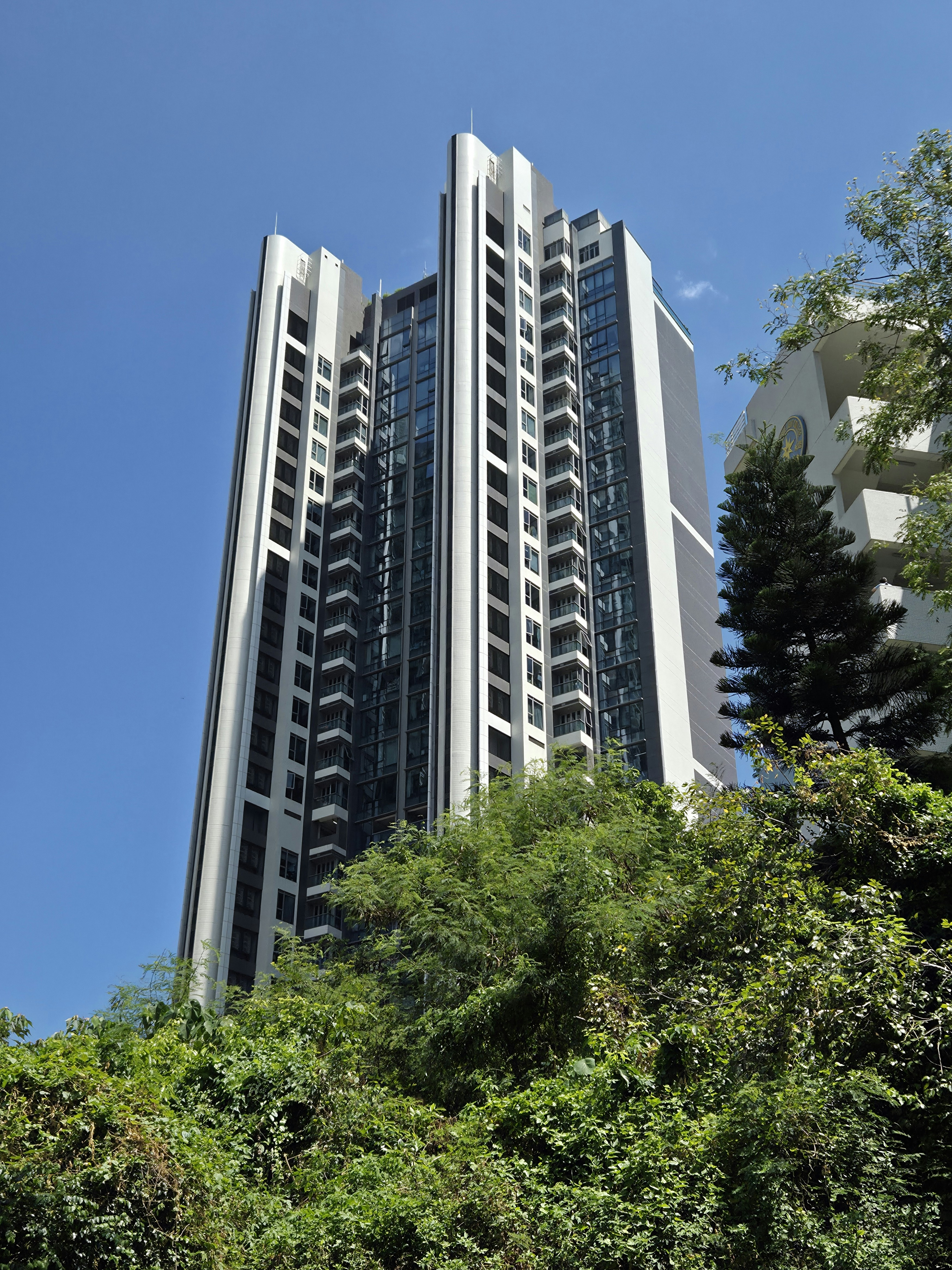 Skyward Facade: A Tower Reaching Above the Green