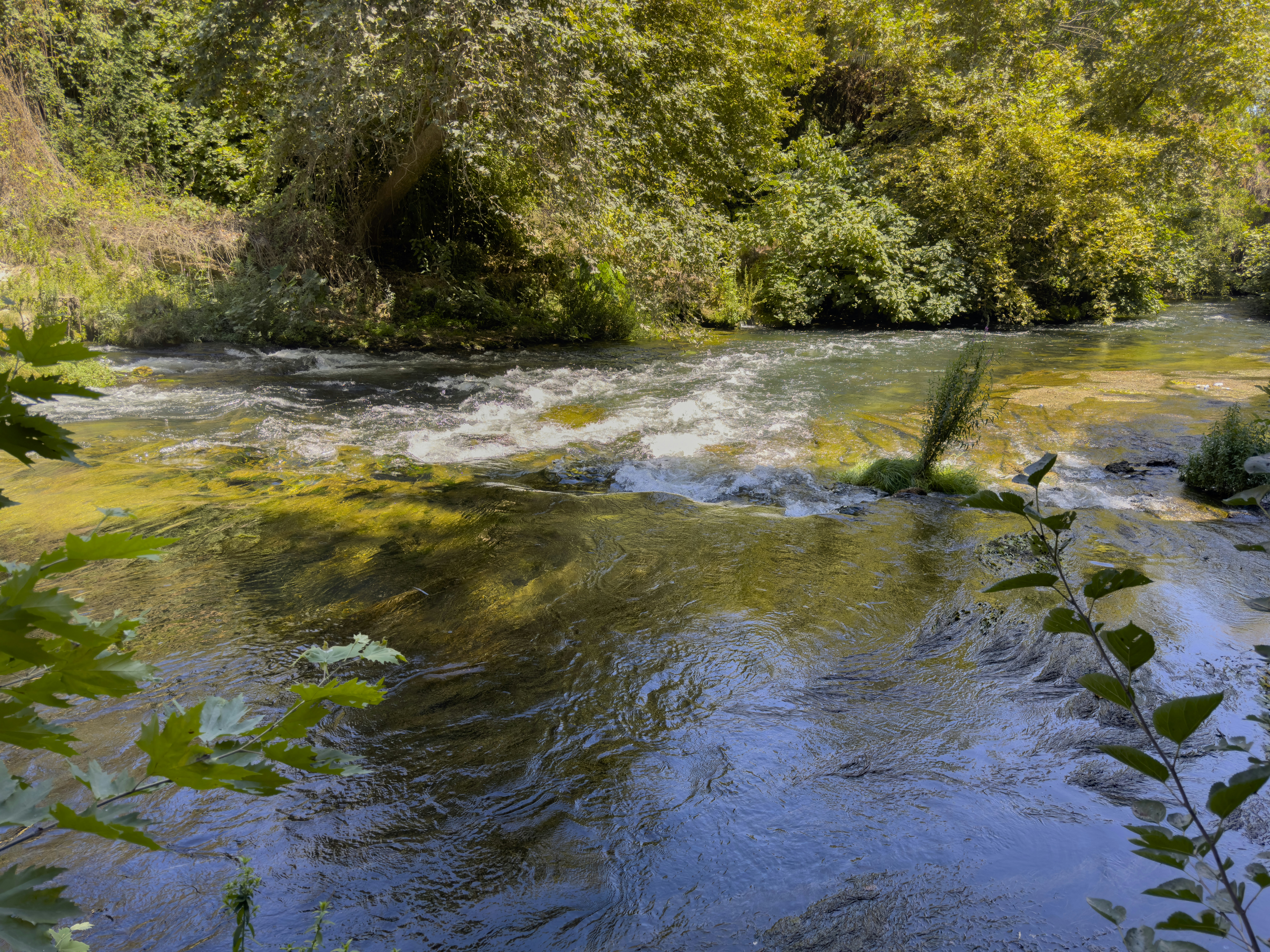 Natural river and colorful plants in fall