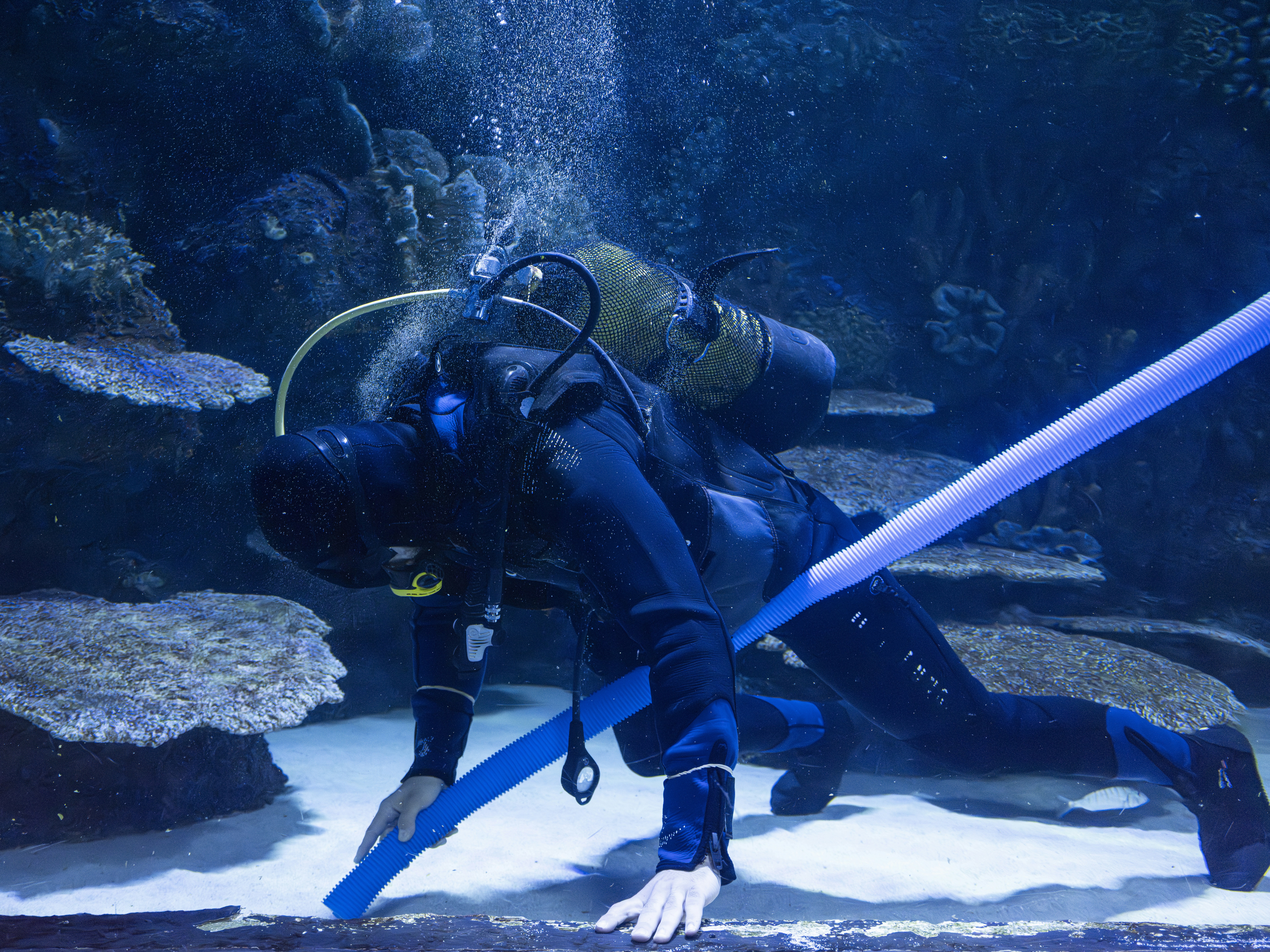 Blue Depths: Diver Guiding a Sinuous Underwater Tube