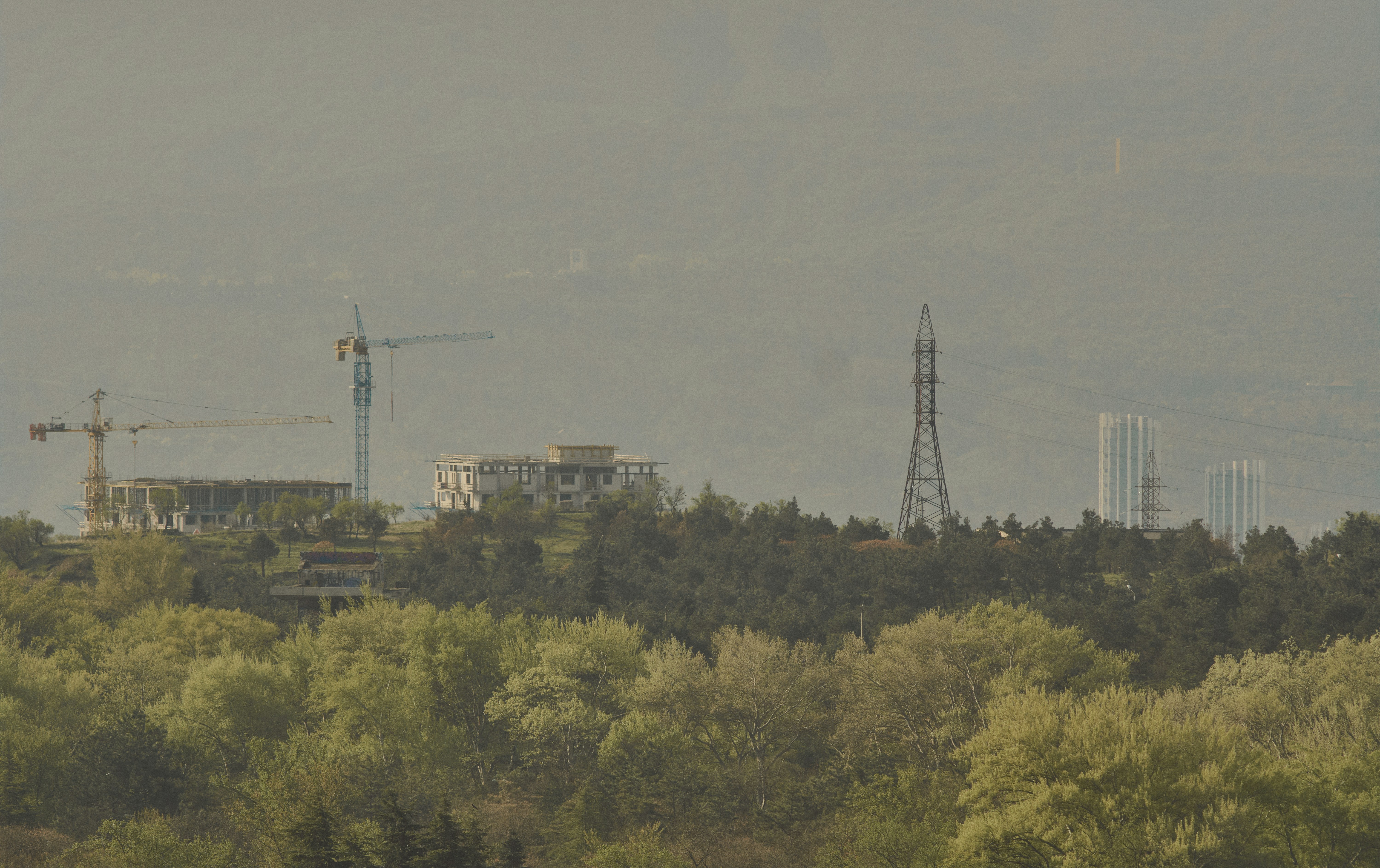 Cranes Above the Quiet Suburb: Construction Horizon