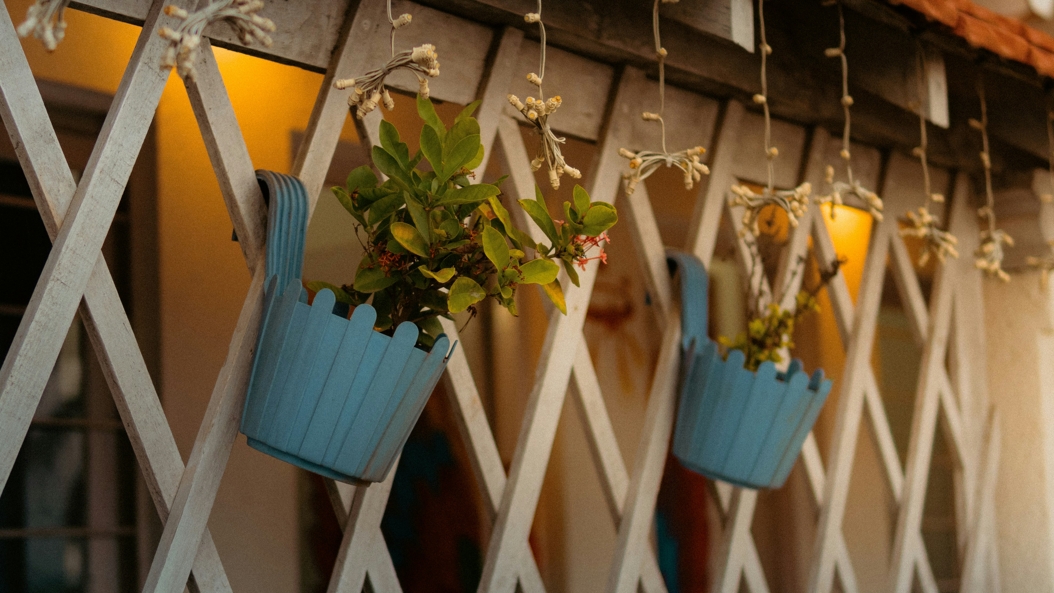 Blue Planter Lanterns: A Row of Potted Blooms on a Lattice