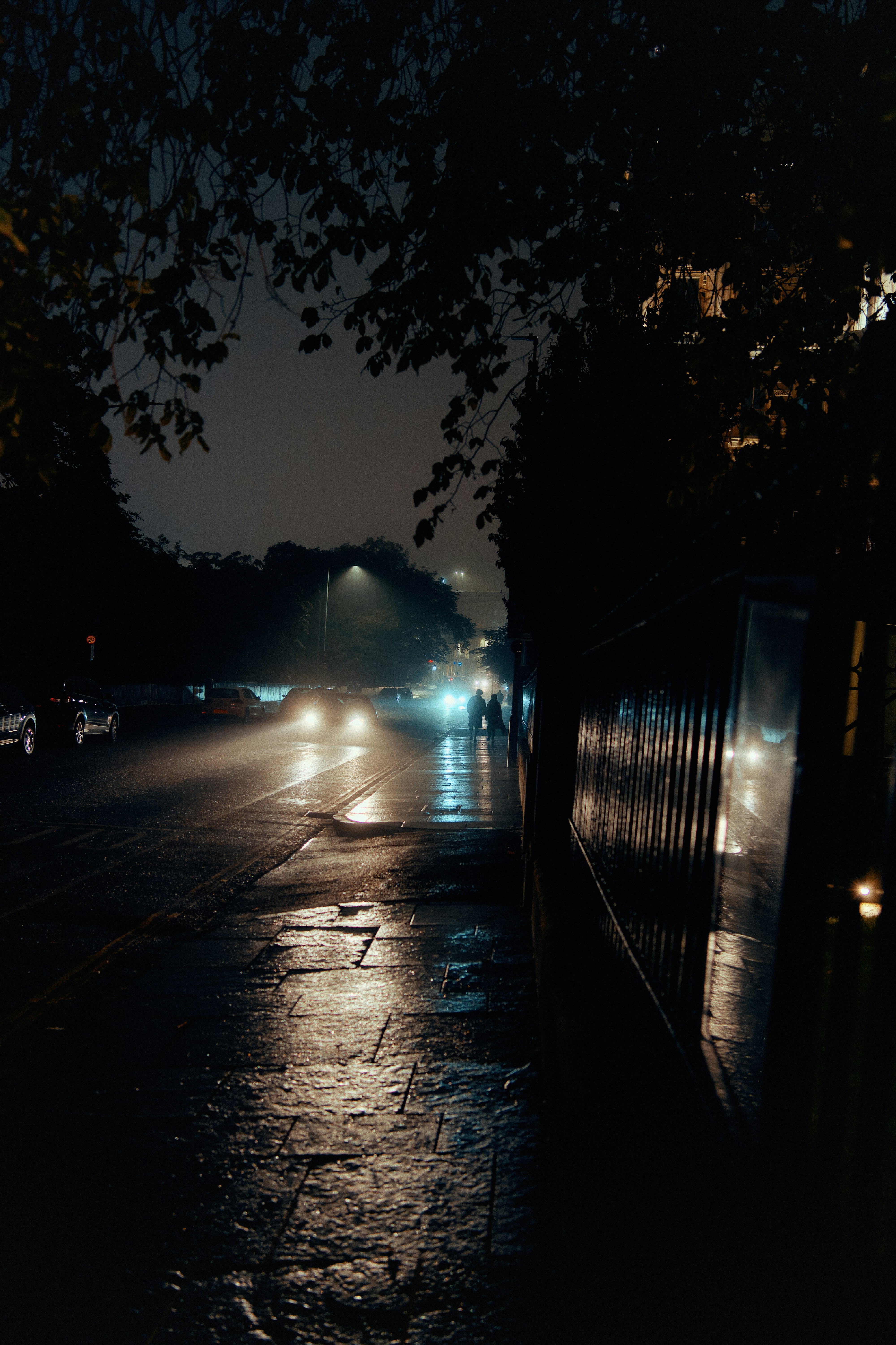 Glow on Wet Stone: Night Street with Moving Headlights