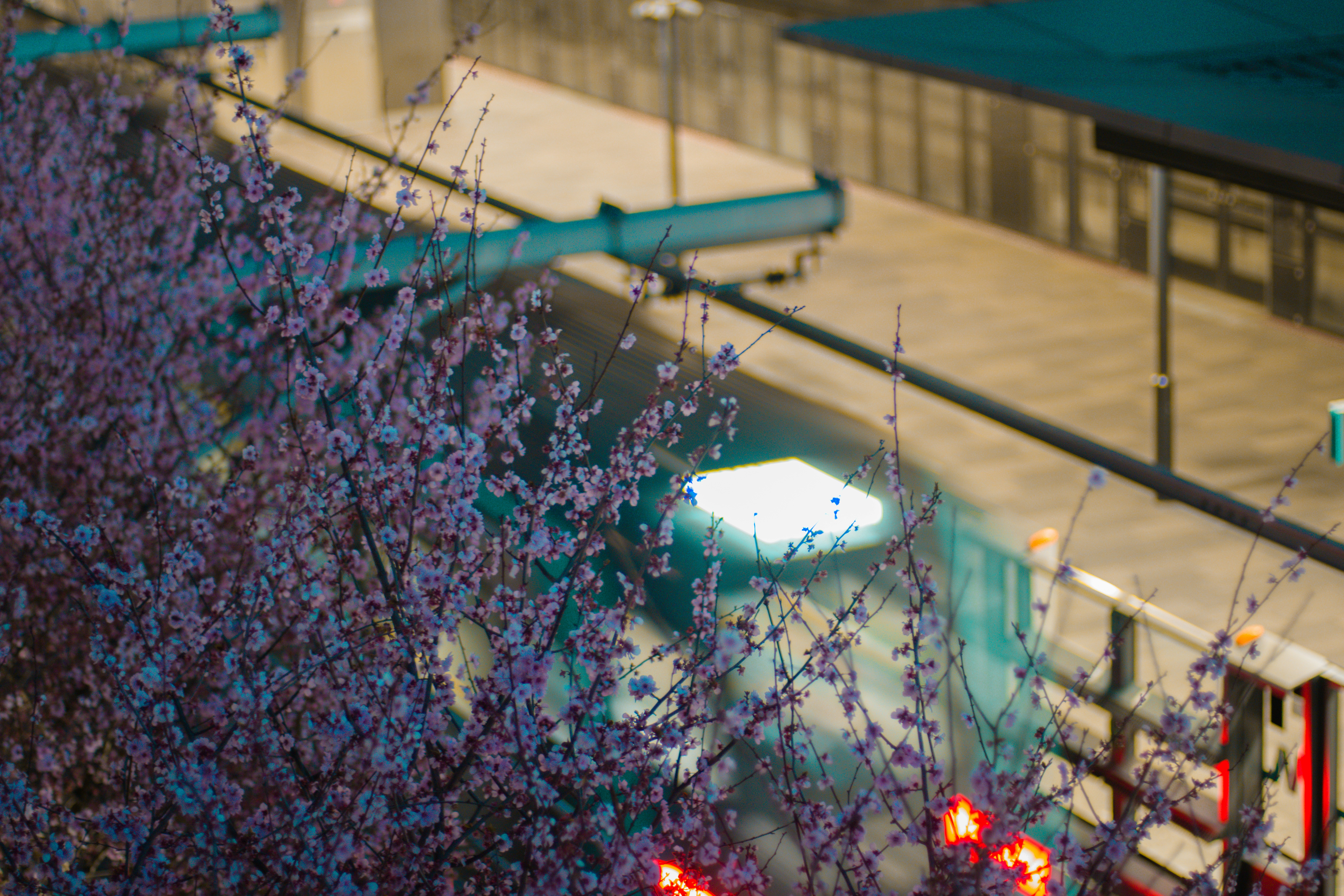 Photo by Wavie Hu with Canon EOS 90D