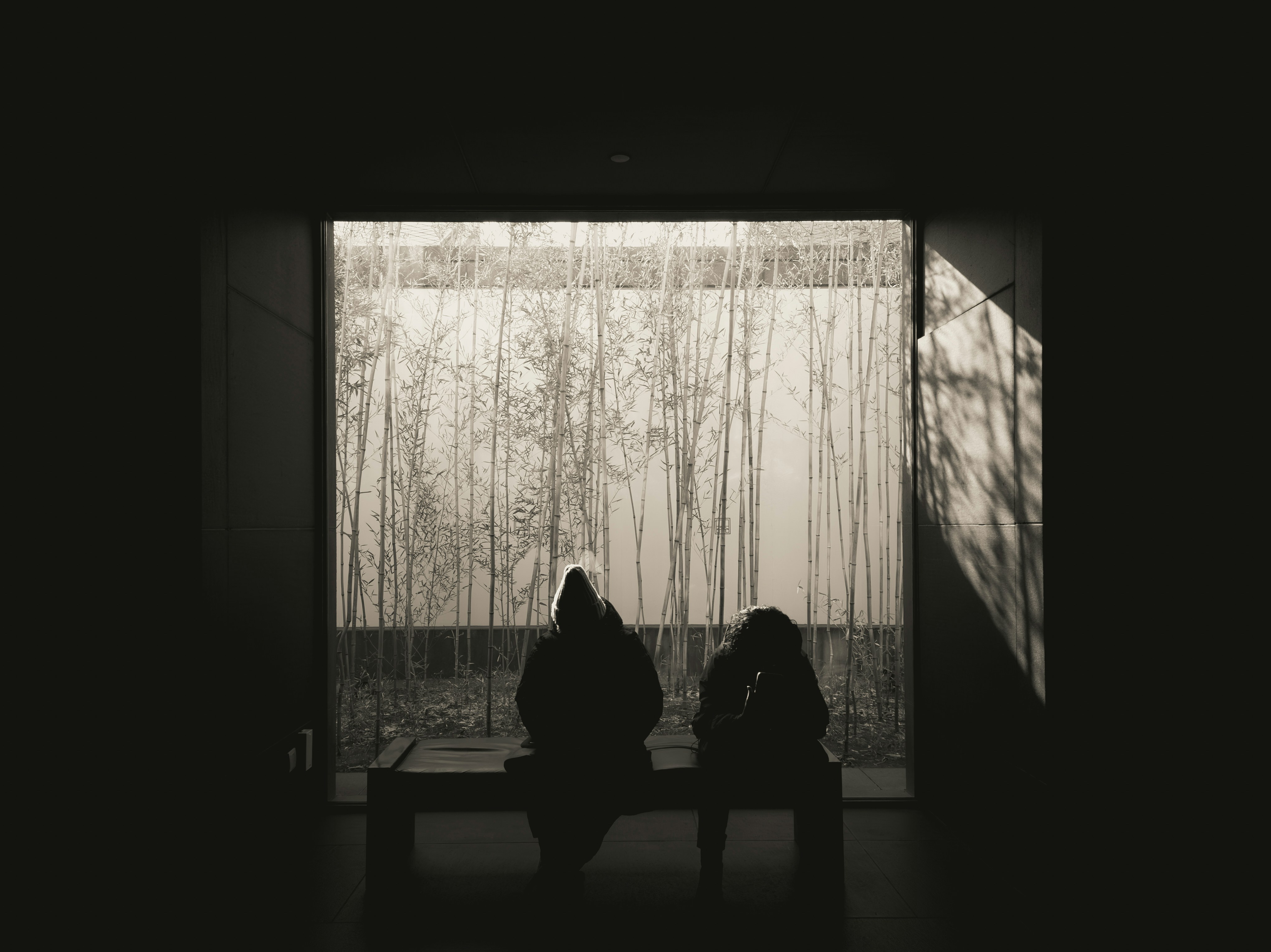 Two people in silhouette on a bench before a window with bamboo stalks