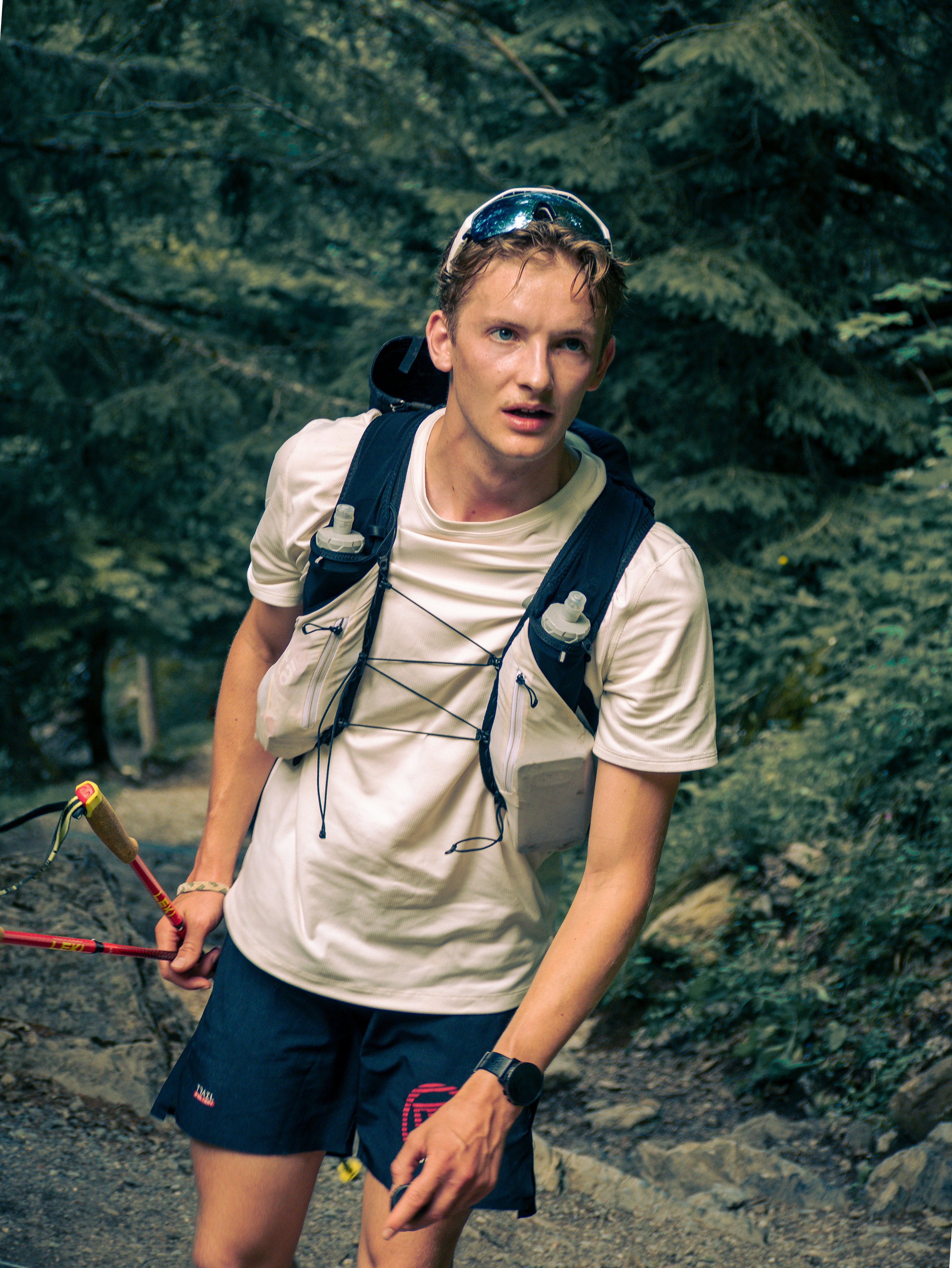Trailblazer in the Pines: Focused Ascent