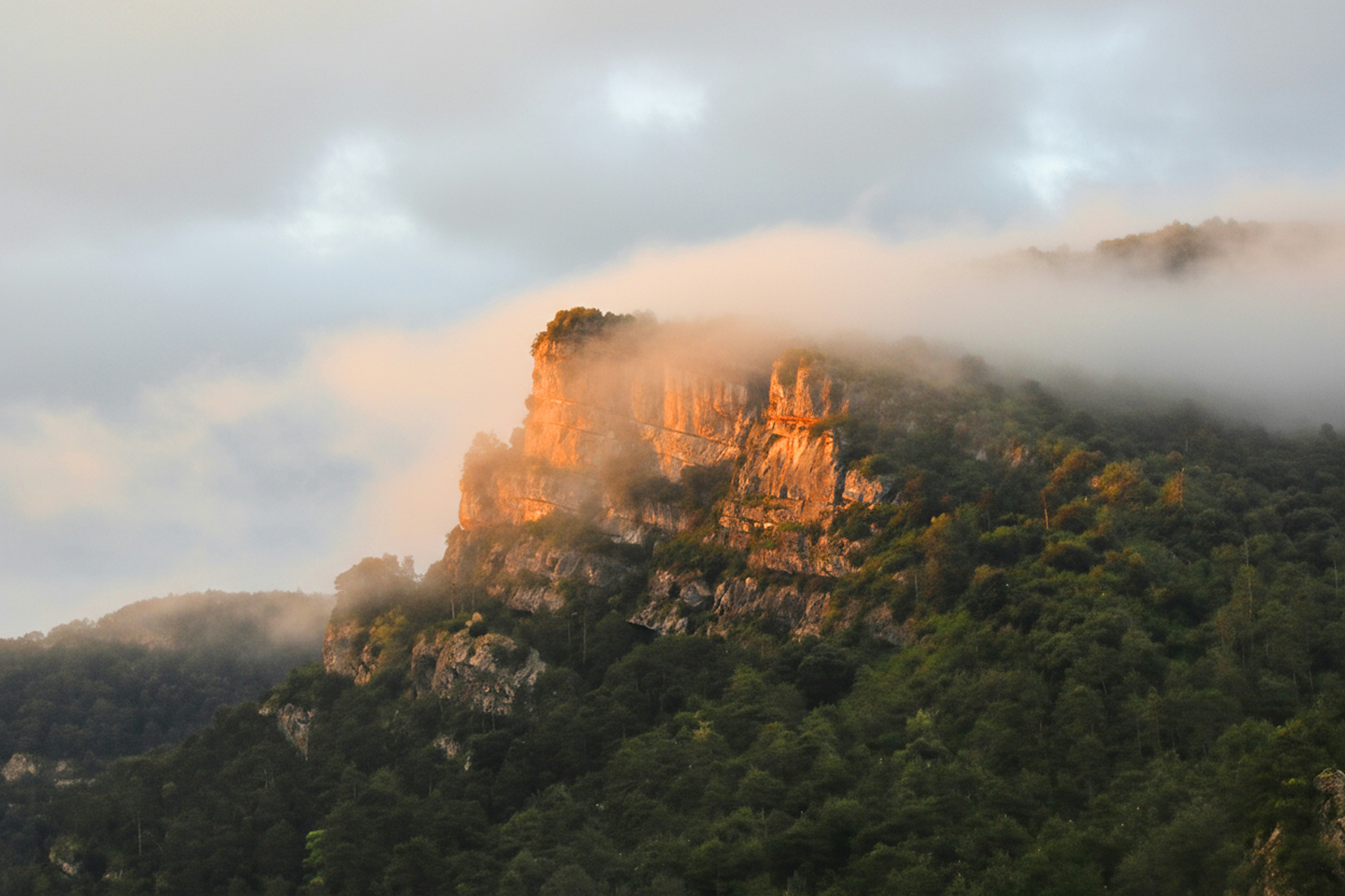 Sunlit Falcon Ridge: A Cliff Edge Pierces the Mist