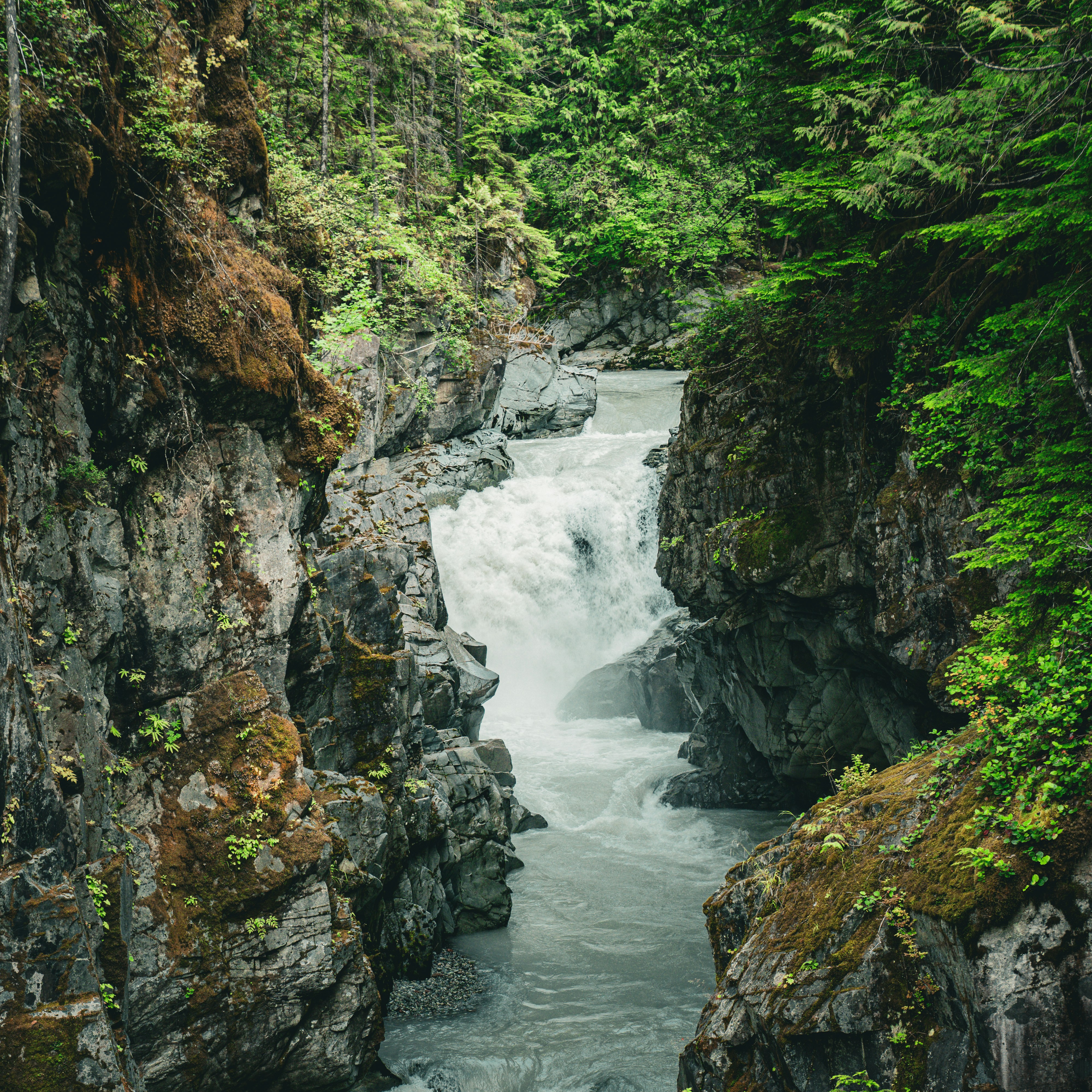 Rushing Through the Green Gorge