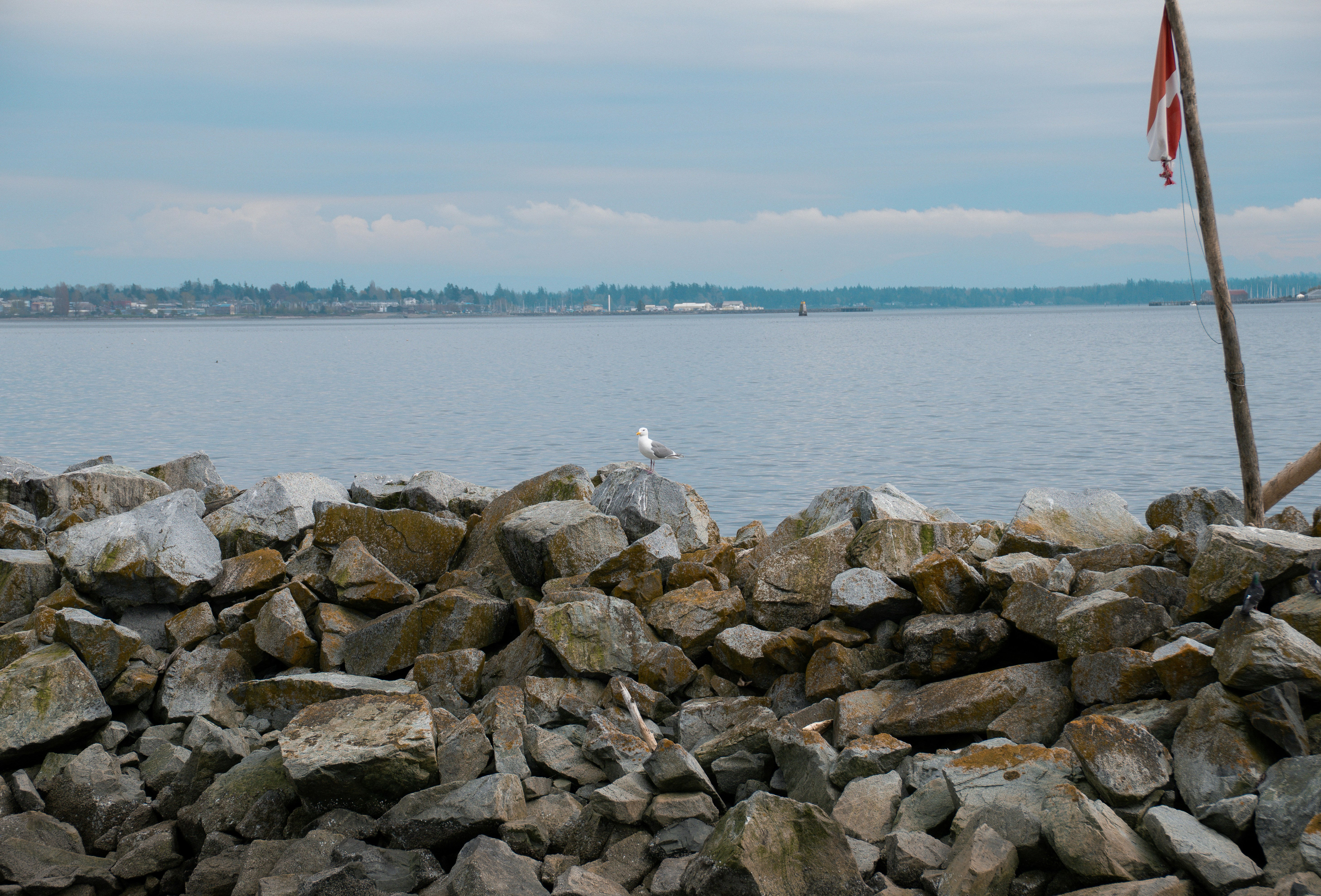 Rugged shoreline meets a calm lakescape under a pale sky