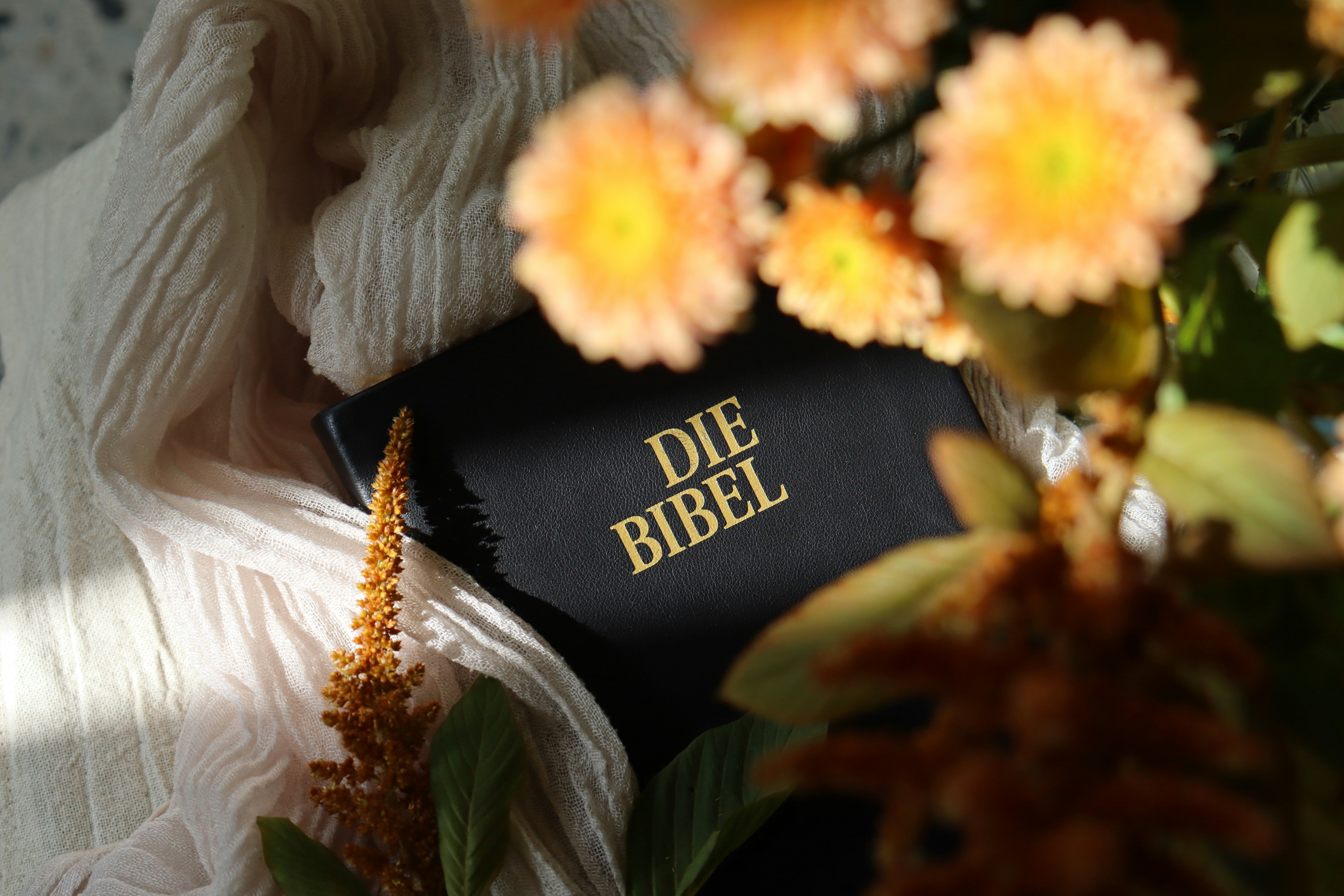 Floral Frame Around a Bible: Gentle Bloom Framing Scripture