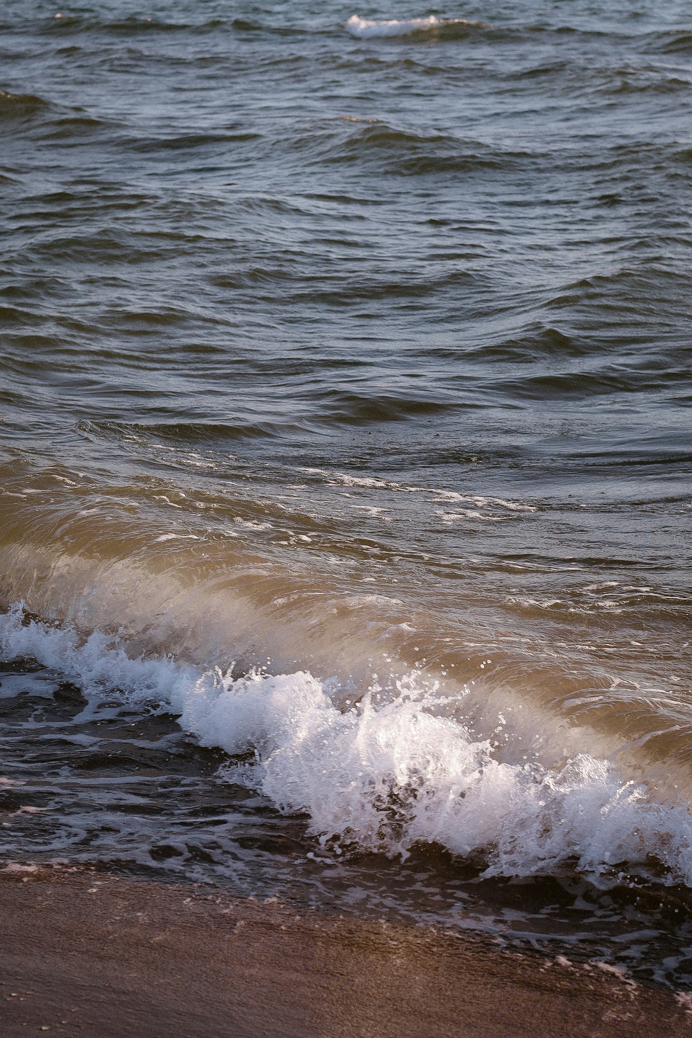 Low Tide Crest: A Wave Rolls Onto a Quiet Shore