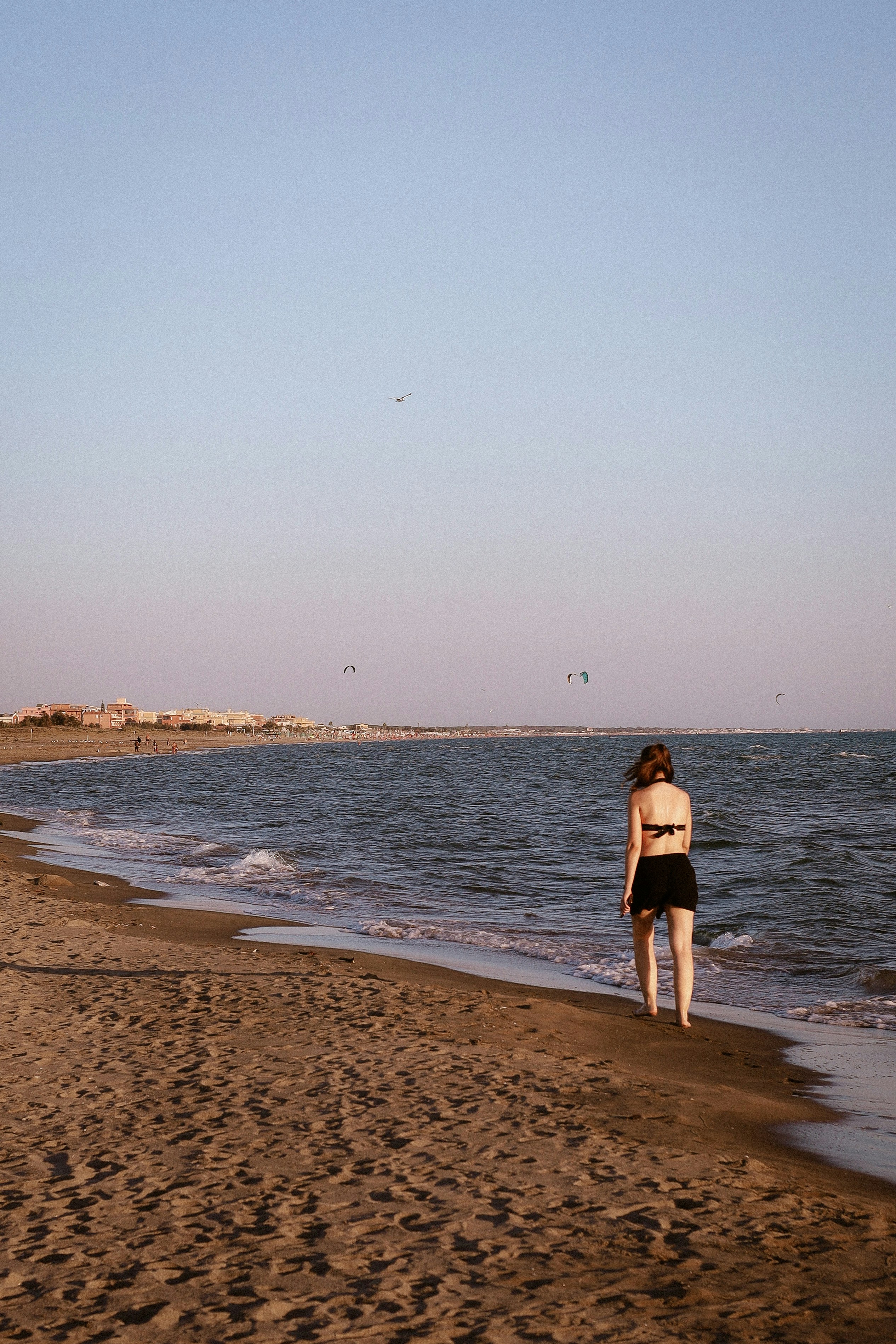 Sunlit Shoreline: A lone swimmer gazes toward the horizon