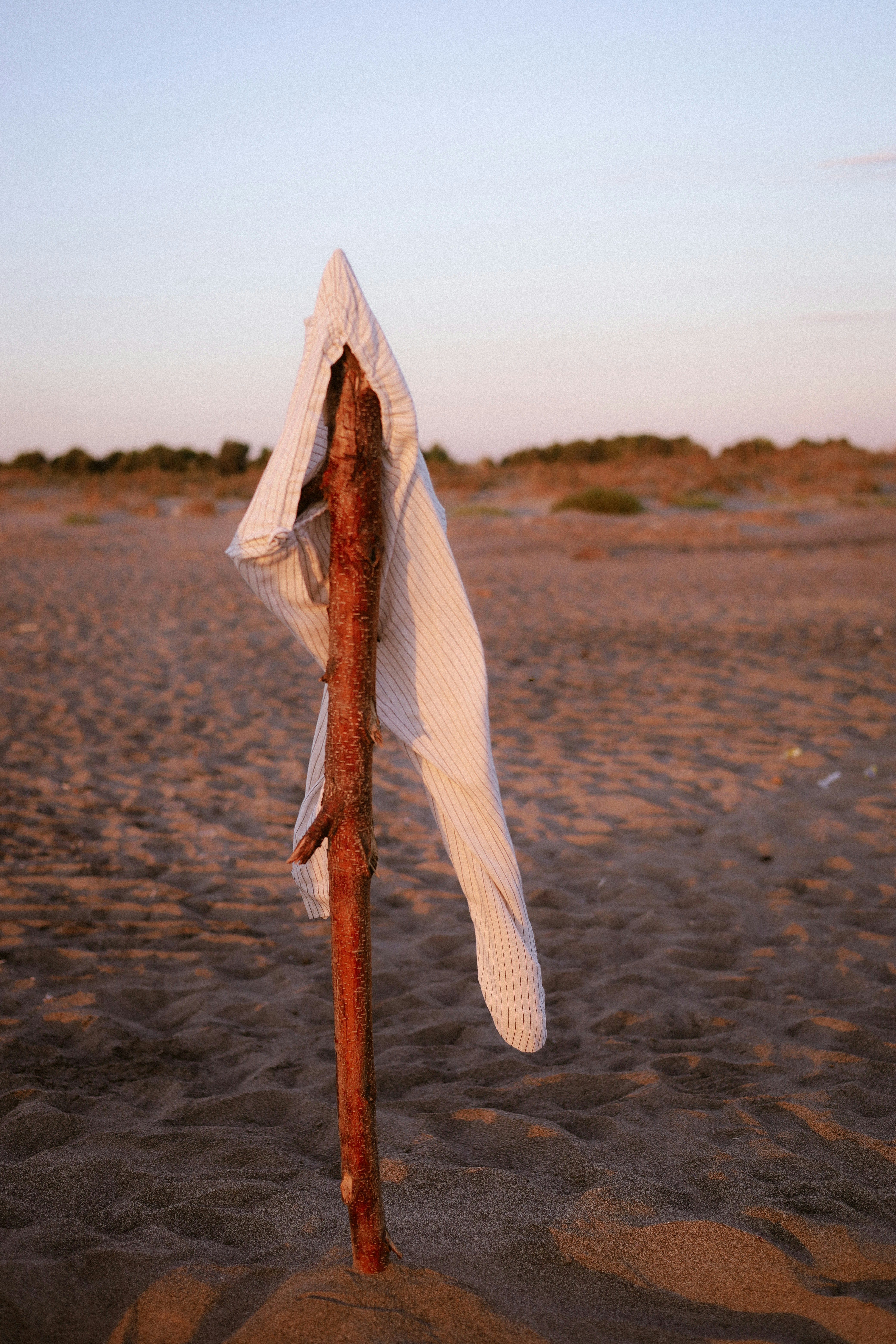 Deserted Flag in the Dune: A Tattered Garment Anchored to a Rusty Stick