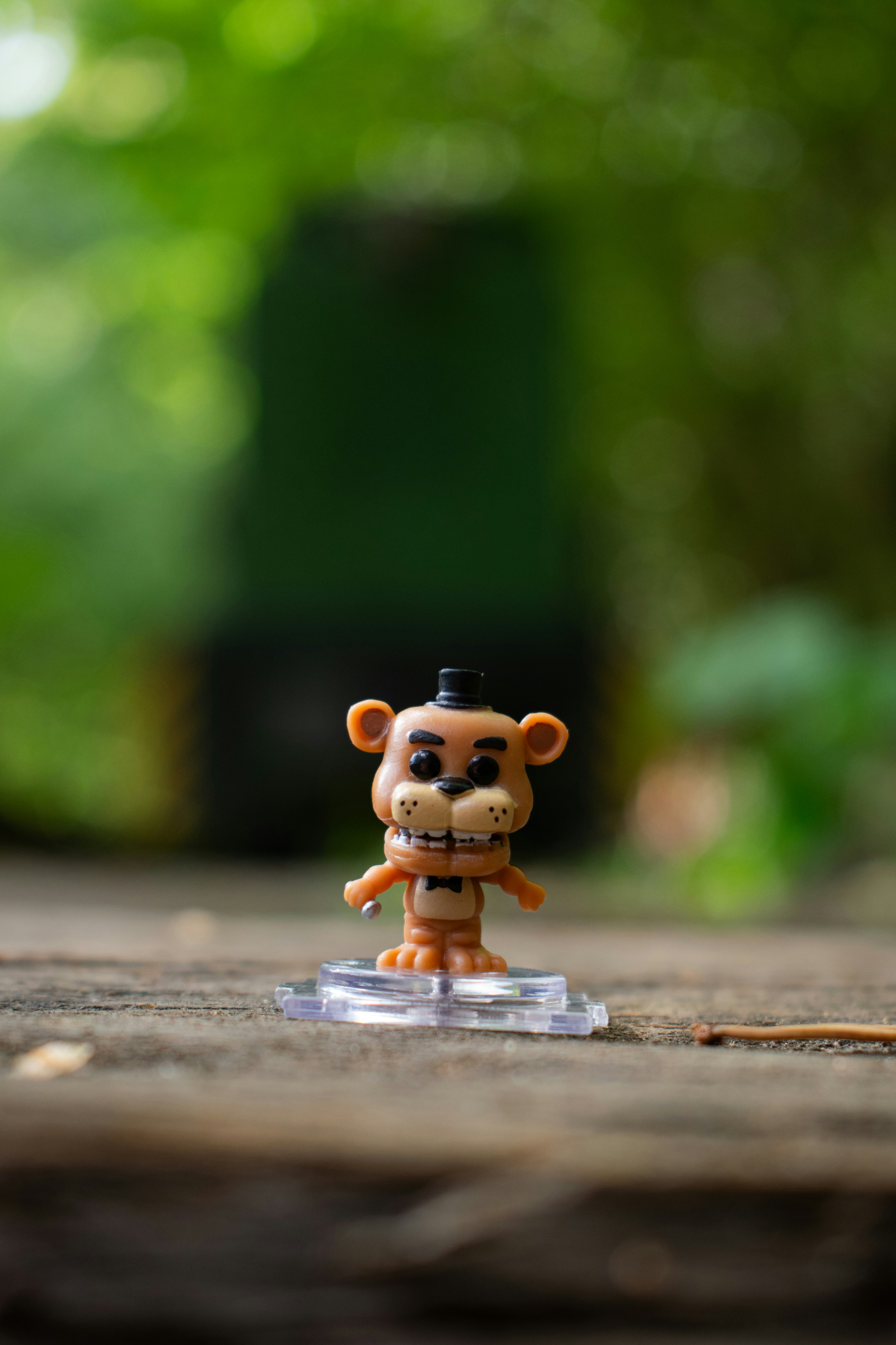 Tiny Buccaneer on a Wooden Stage