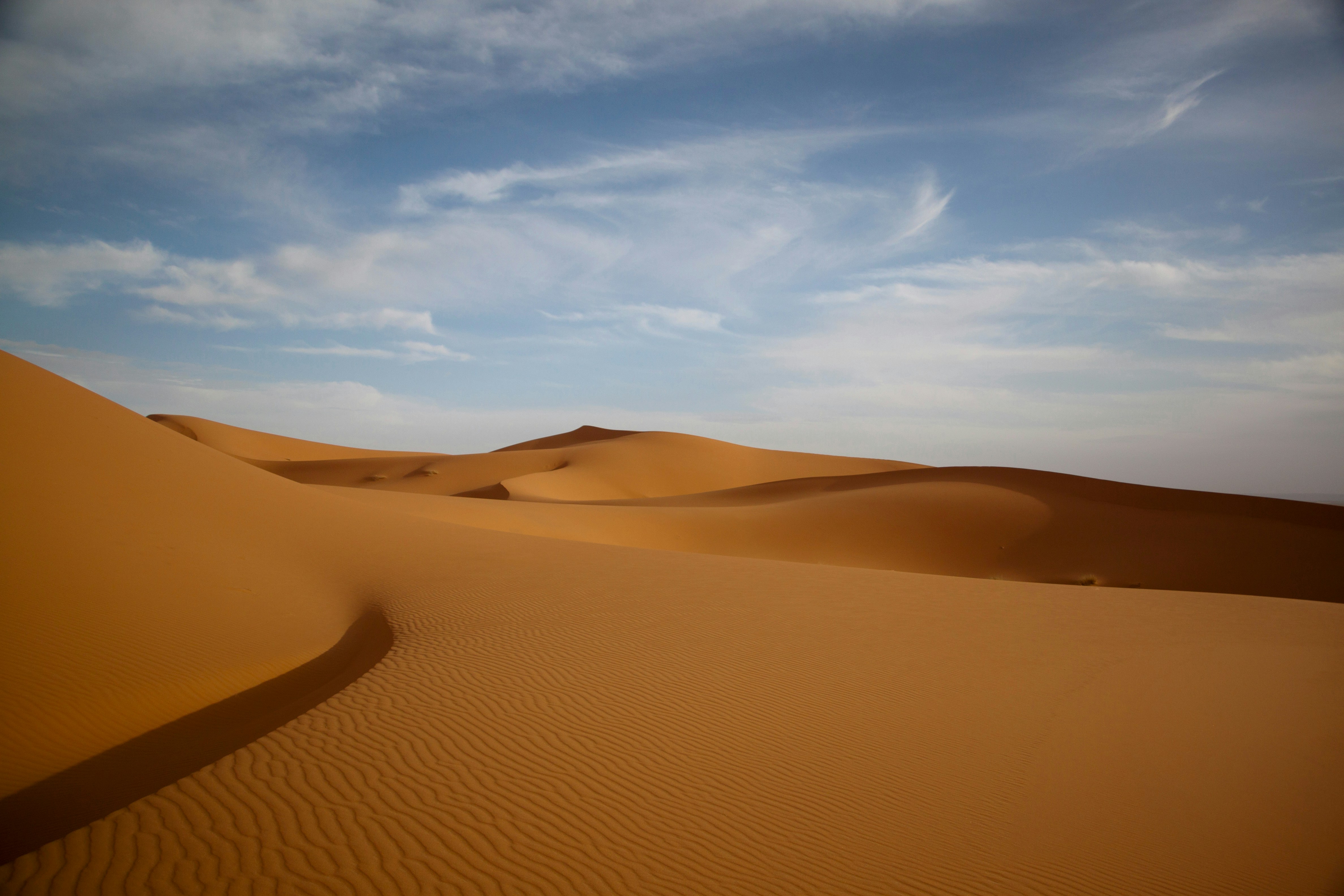 Dune Crest Beneath a Velvet Sky