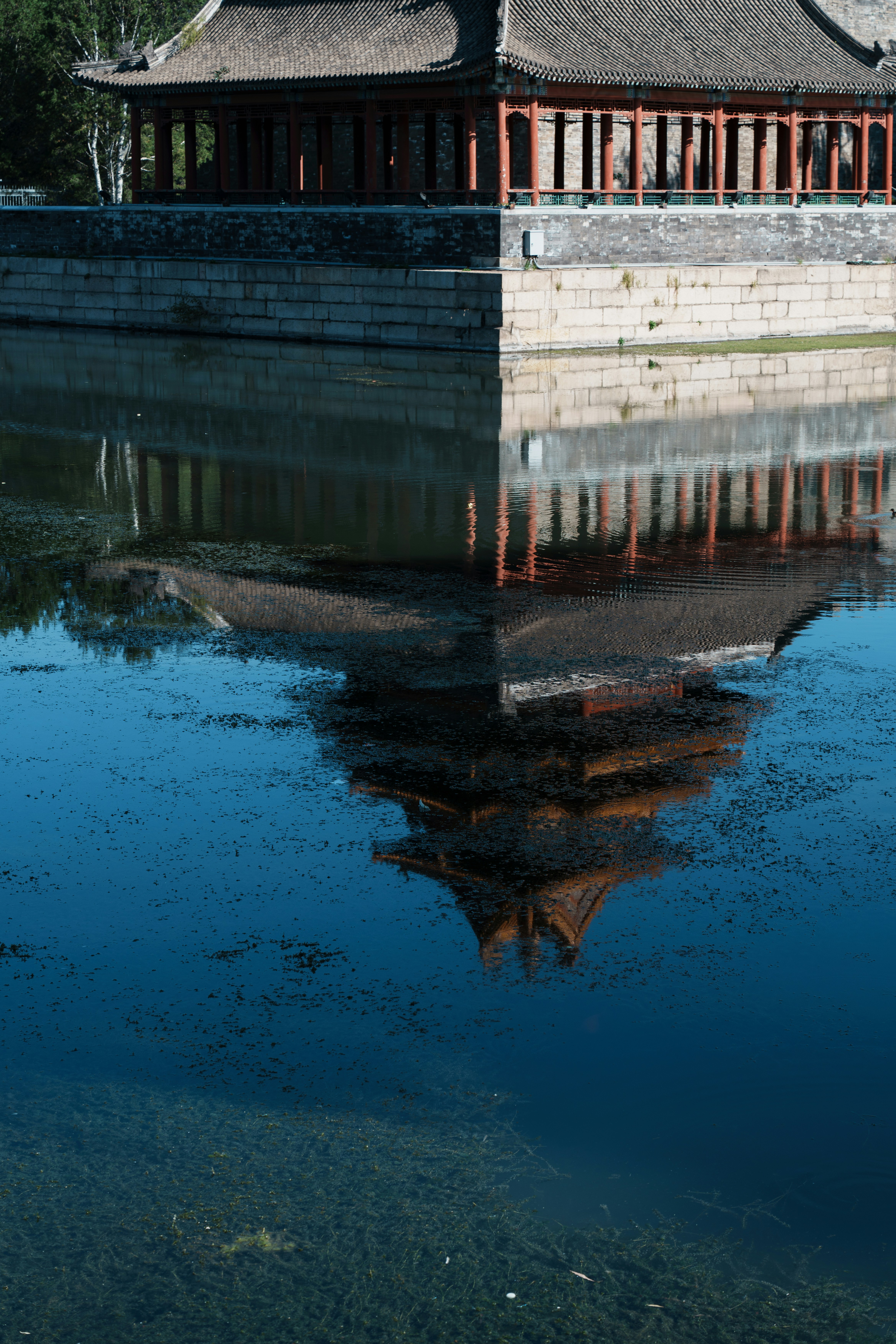 Reflected Pagoda: Echoes on a Quiet Water