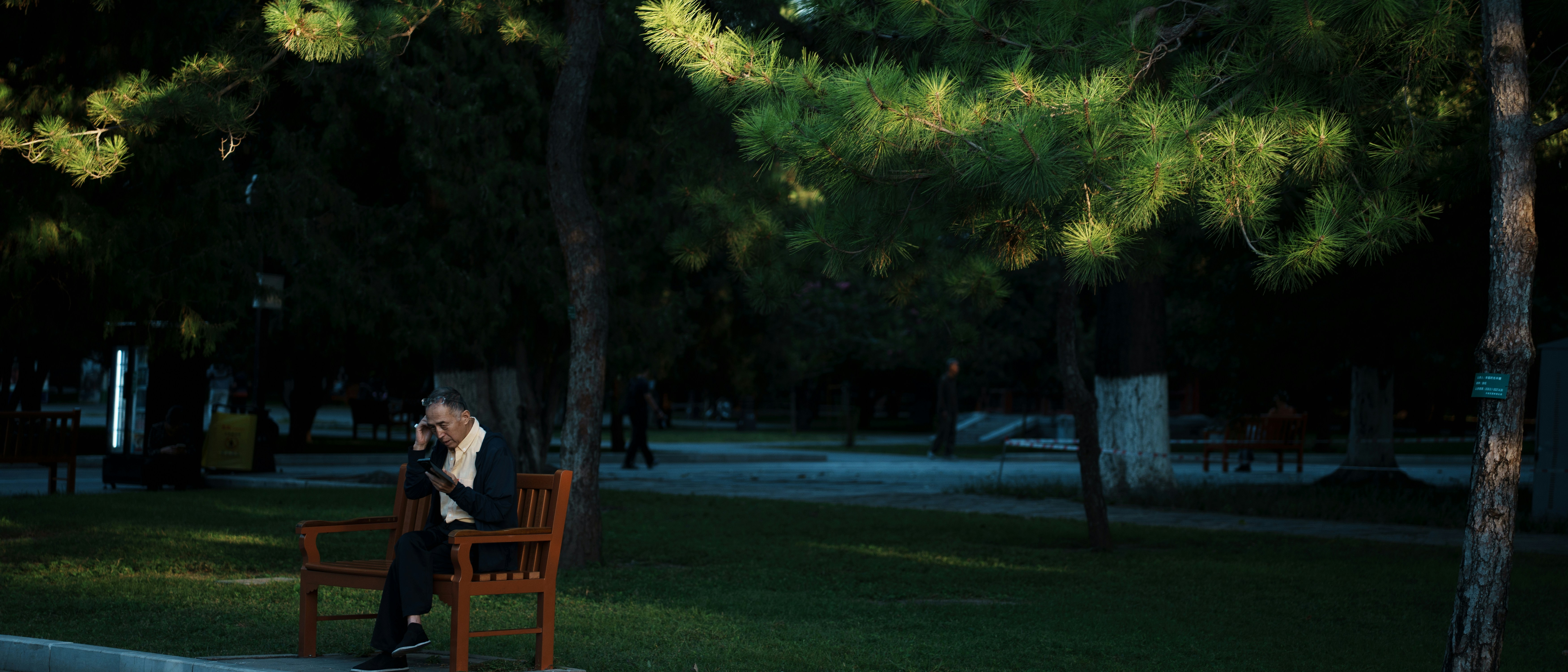 A person sits on a wooden bench under trees at night, illuminated by subtle ambient light; the scene conveys quiet solitude in a park setting.