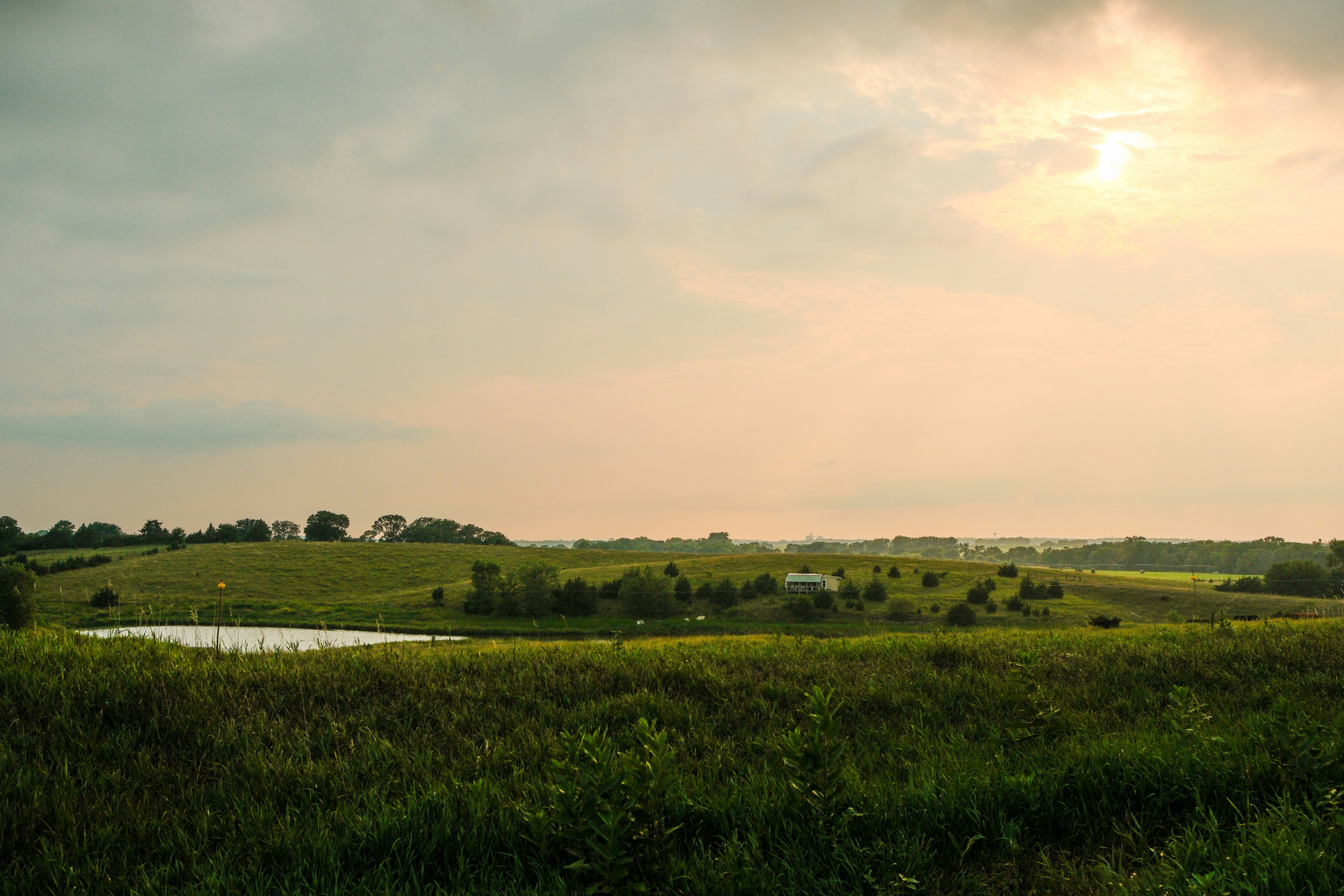 Hazy Horizon Over A Quiet Meadow