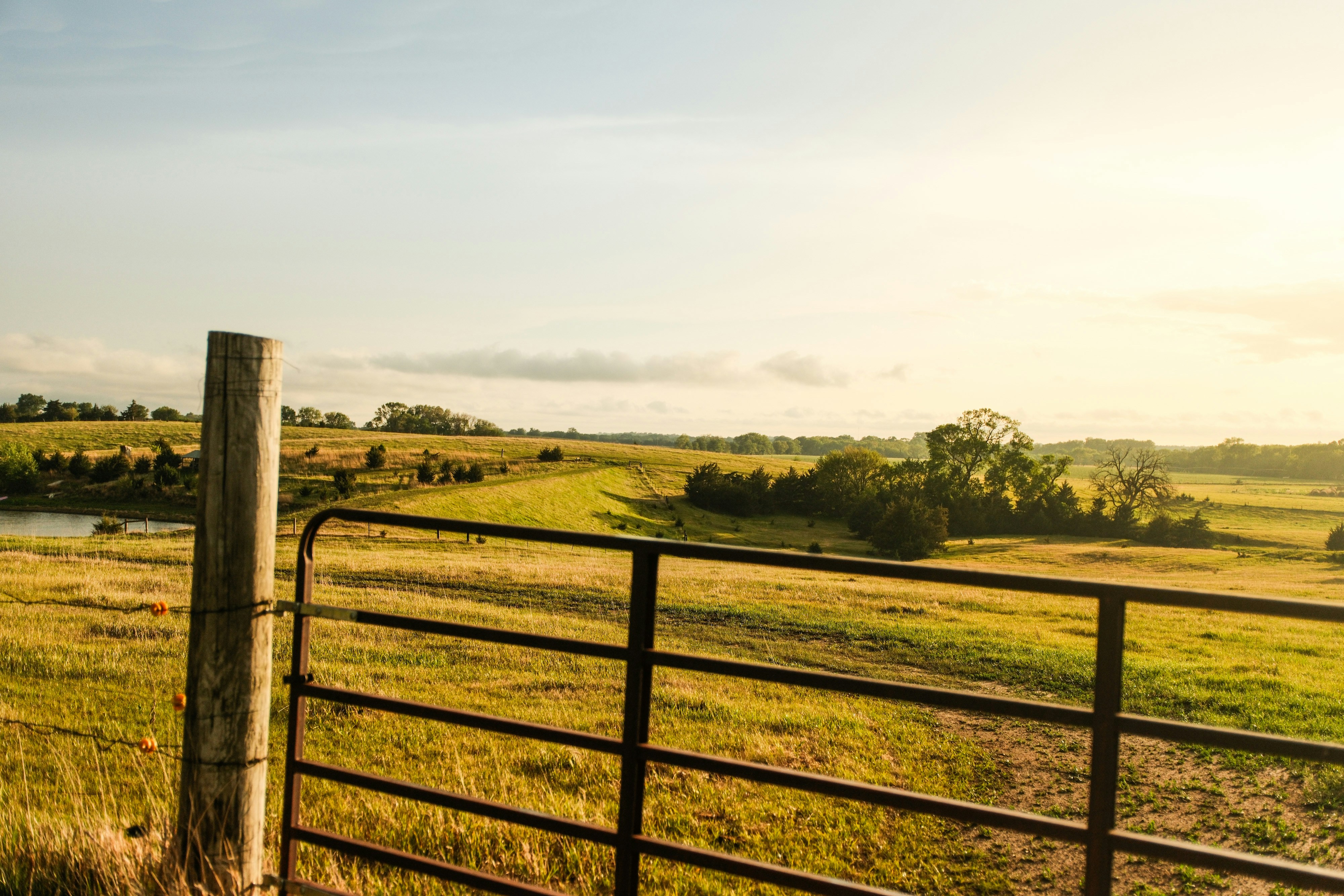 Golden Gate: A Quiet Dawn Over the Farmland Fence