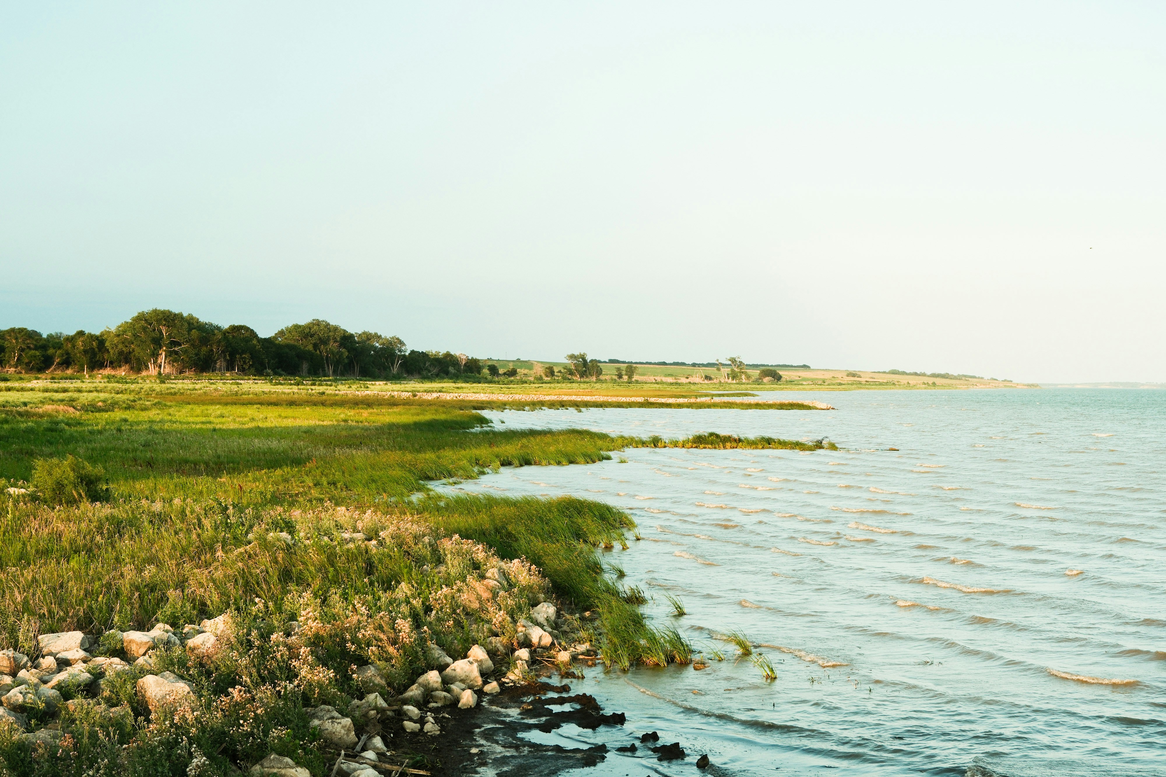 Quiet Shoreline: Grass, Rocks, and Calm Waters at Sundown