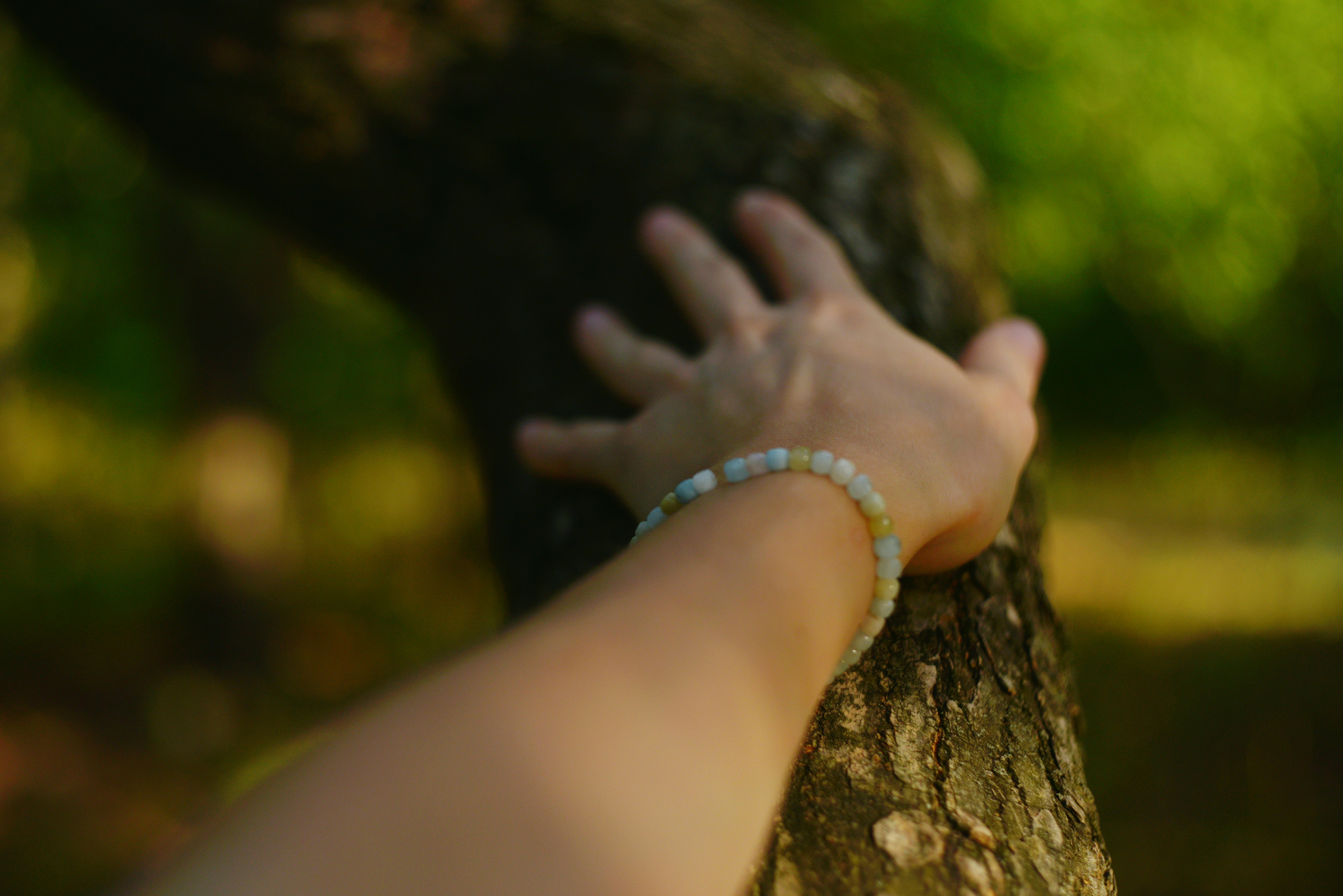 Grasping Tree, A Moment of Connection