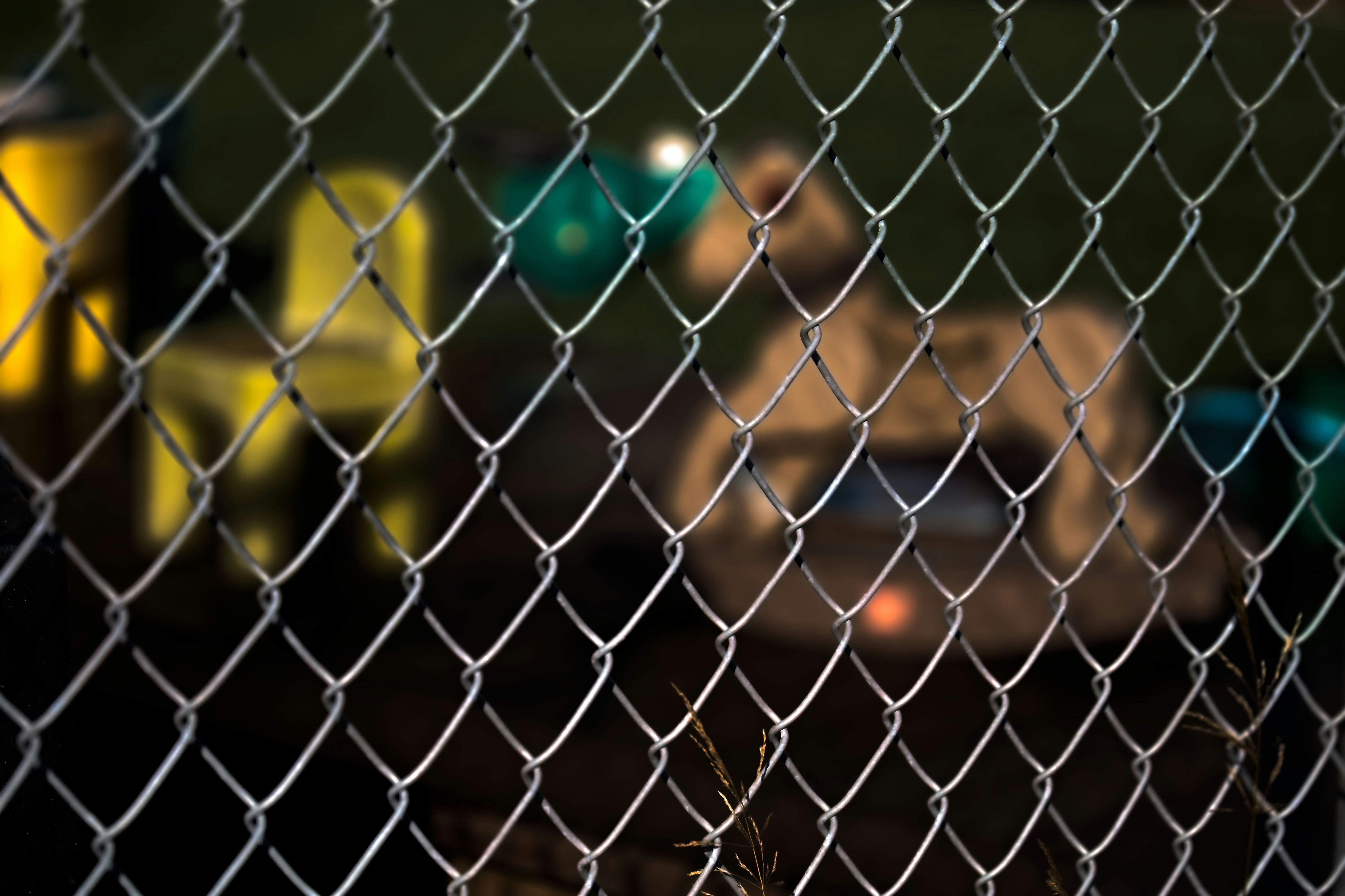 Behind the Mesh: A Quiet Workshop Through the Fence