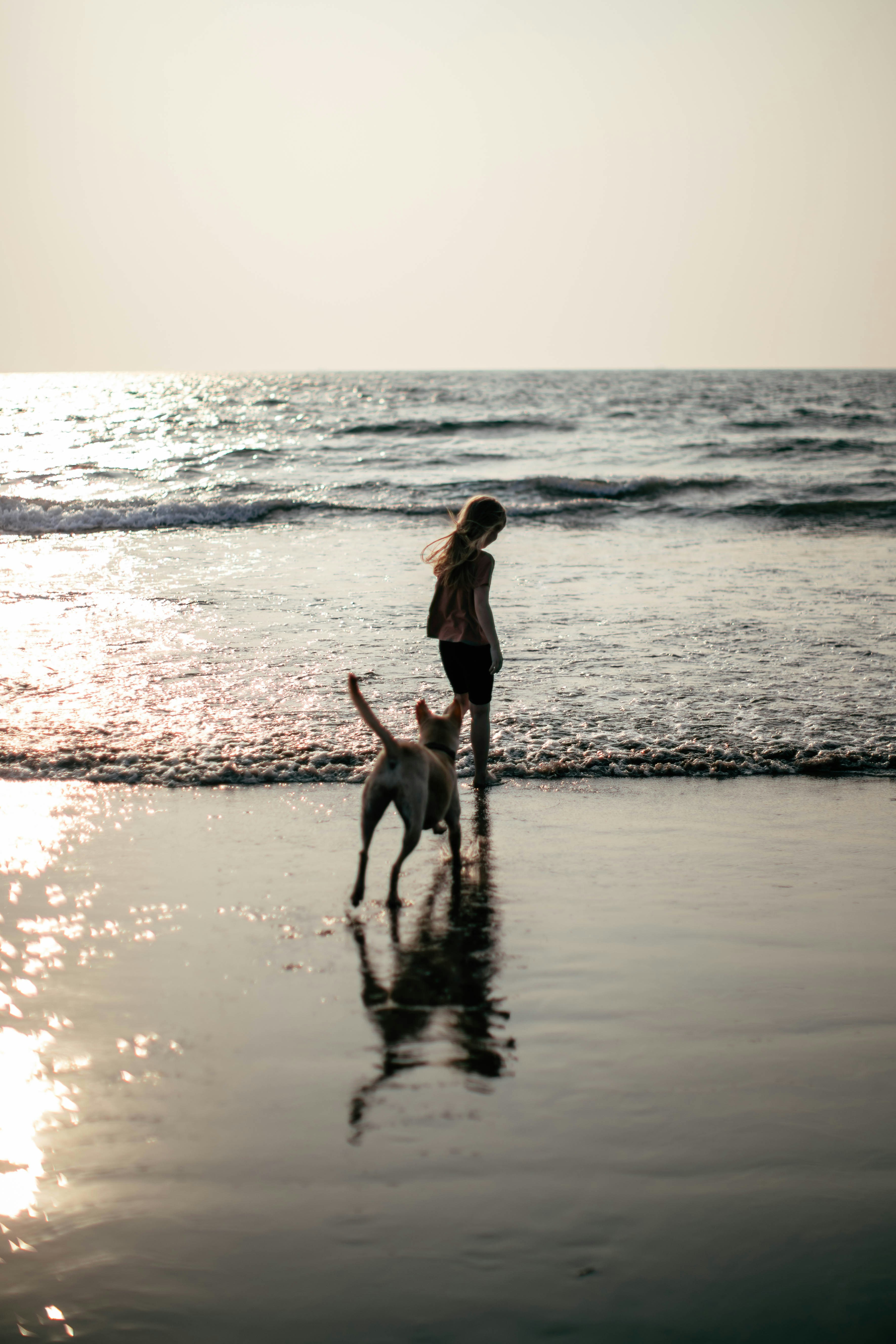 Evening at the Gentle Edge: Child and Dog at the Shore