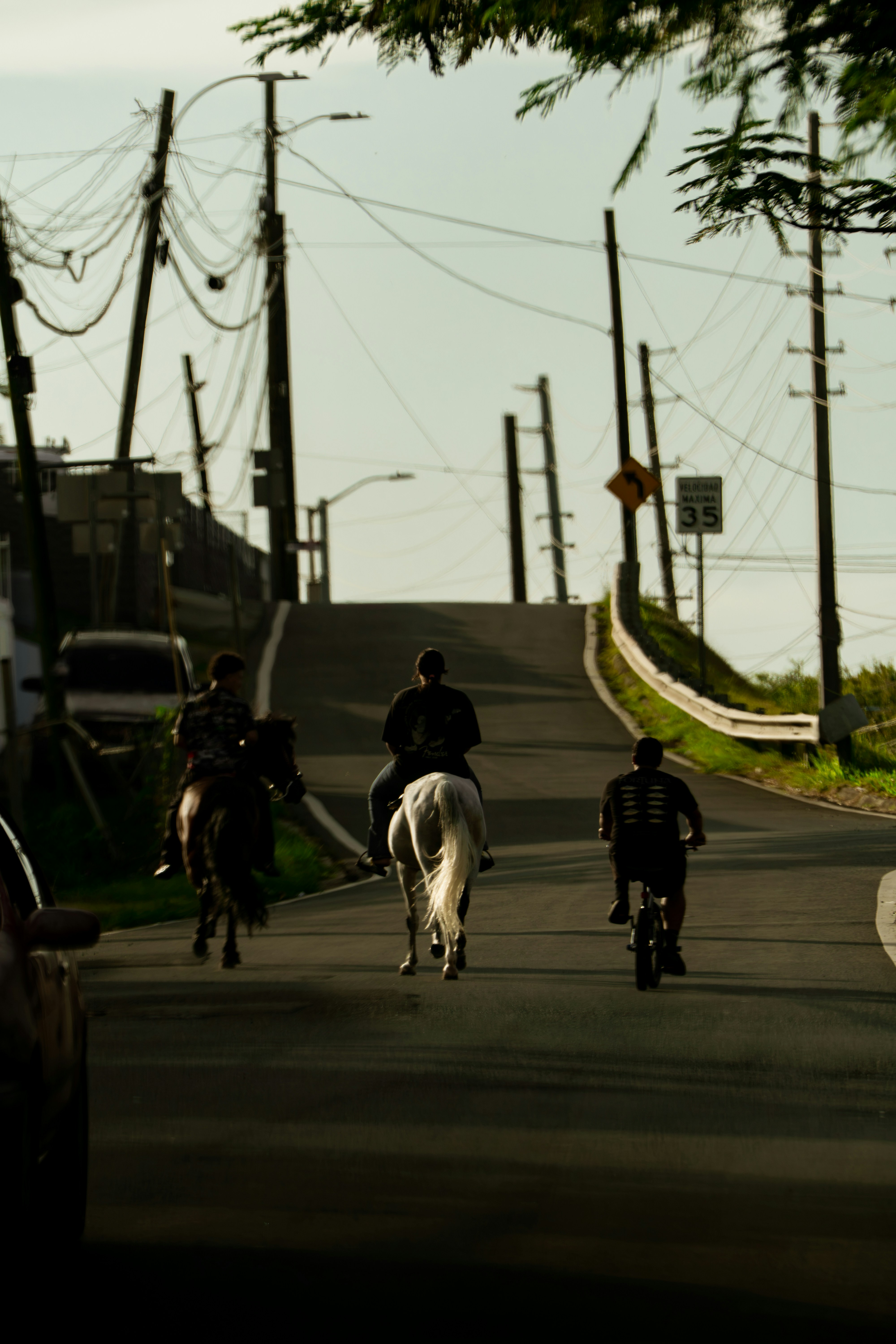 Riders Ascend the Gentle Hill under Wires