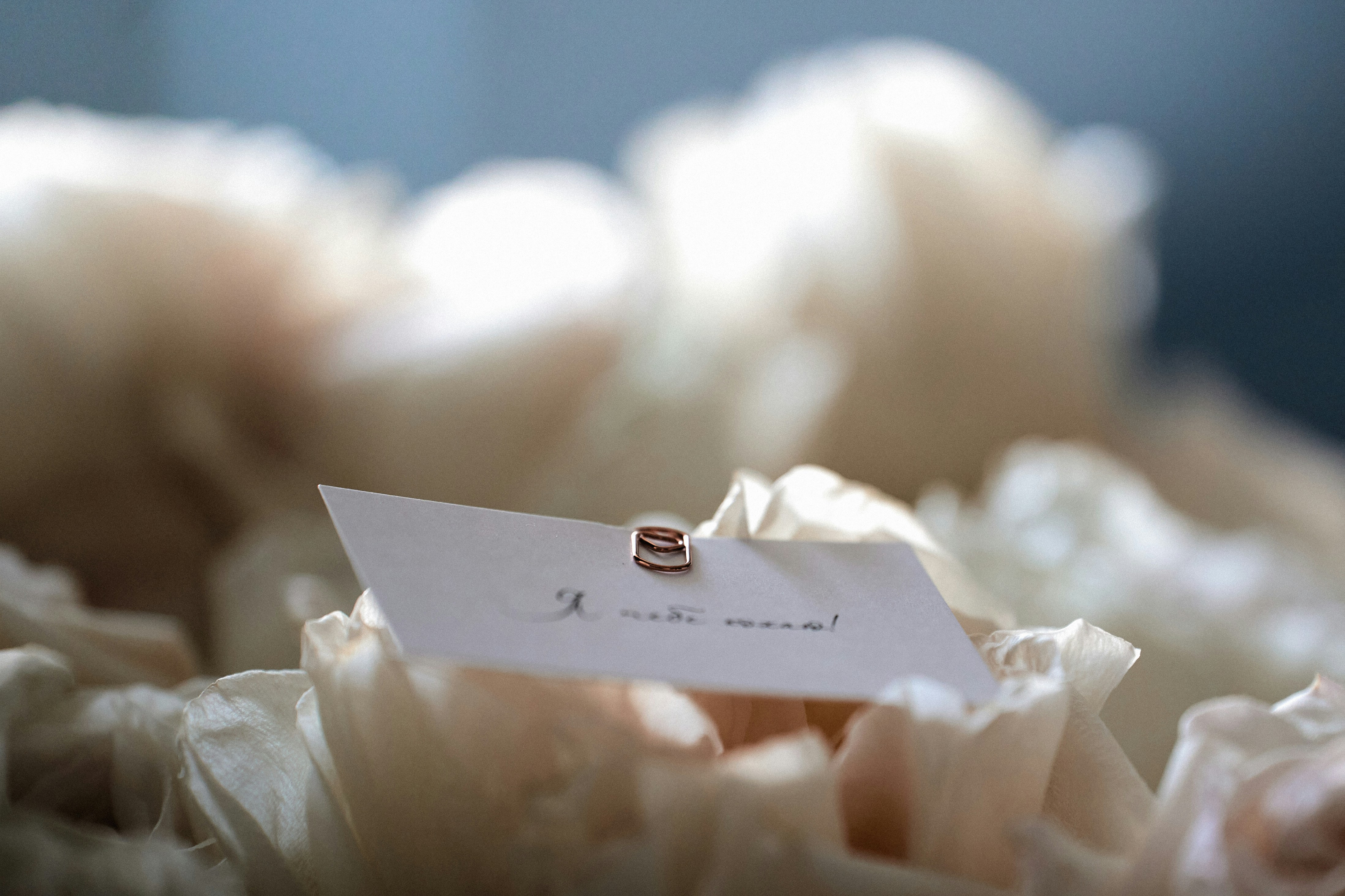 Whispered Vows on a Sea of Petals